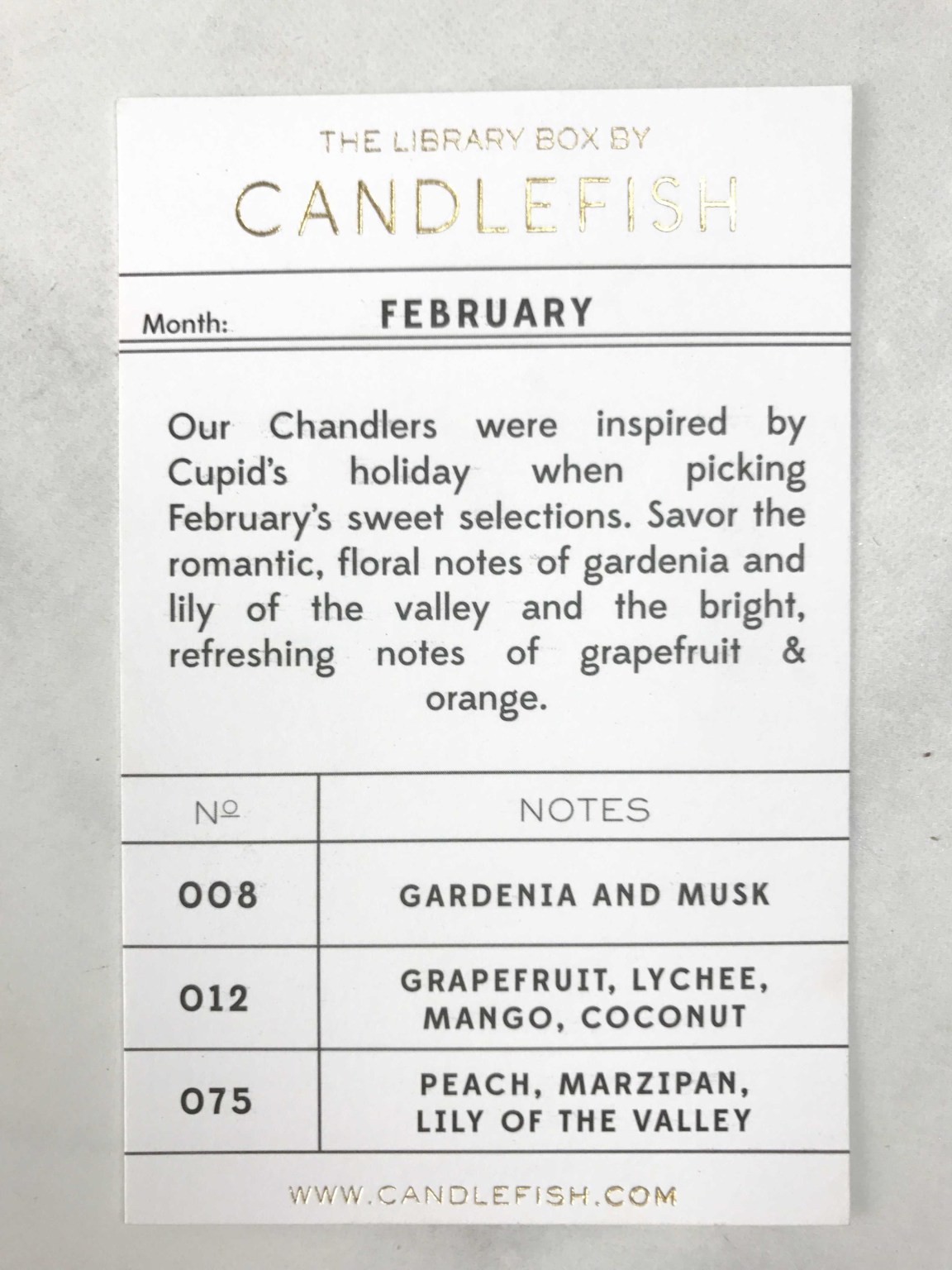 The Library Box by Candlefish February 2017 Subscription Box Review ...