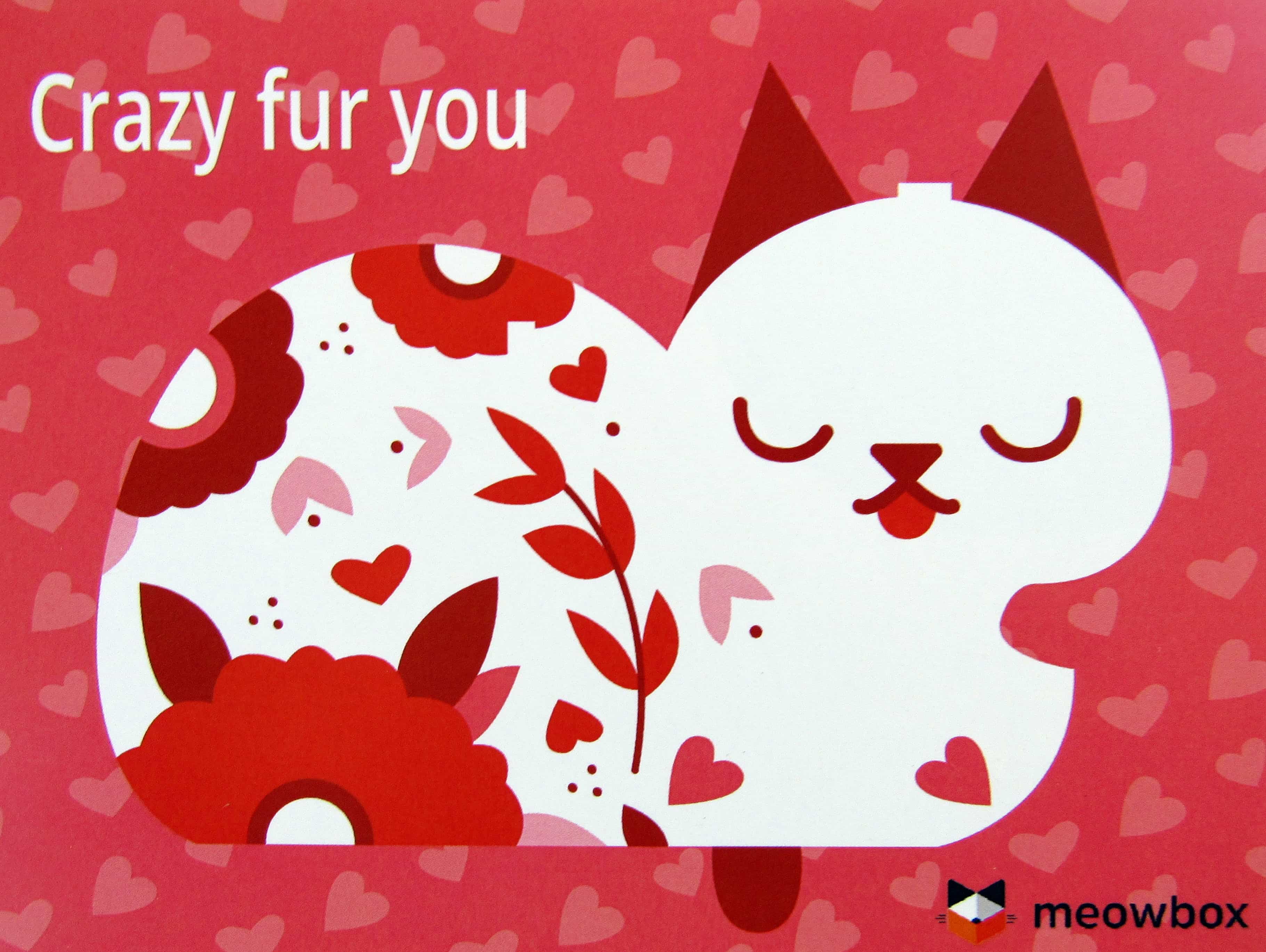 February 2017 Meowbox Subscription Box Review & Coupon - Hello Subscription