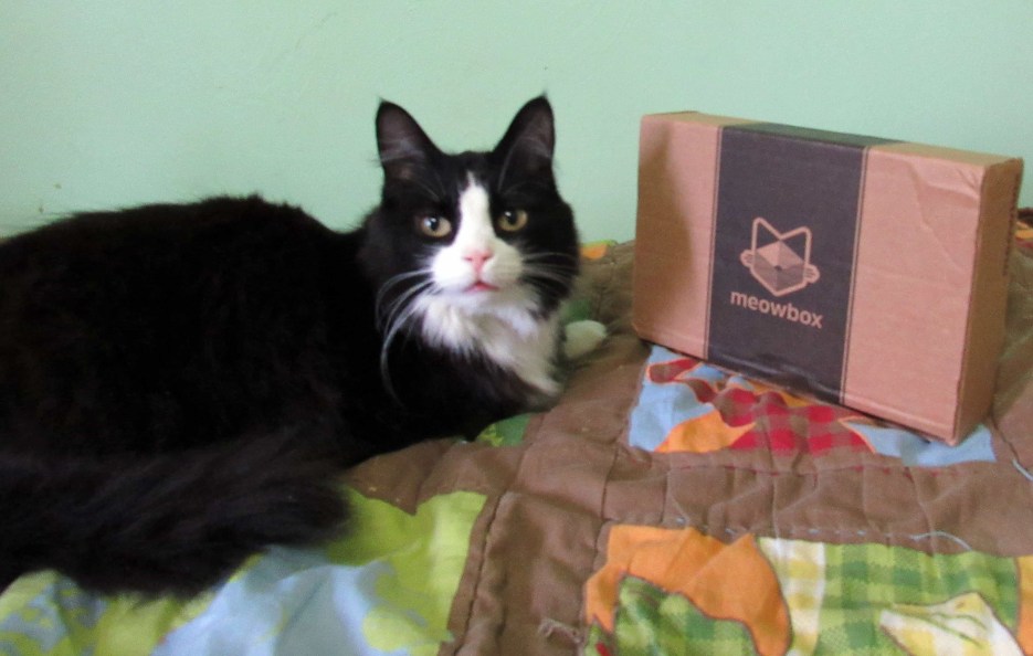 February 2017 Meowbox Subscription Box Review & Coupon - Hello Subscription
