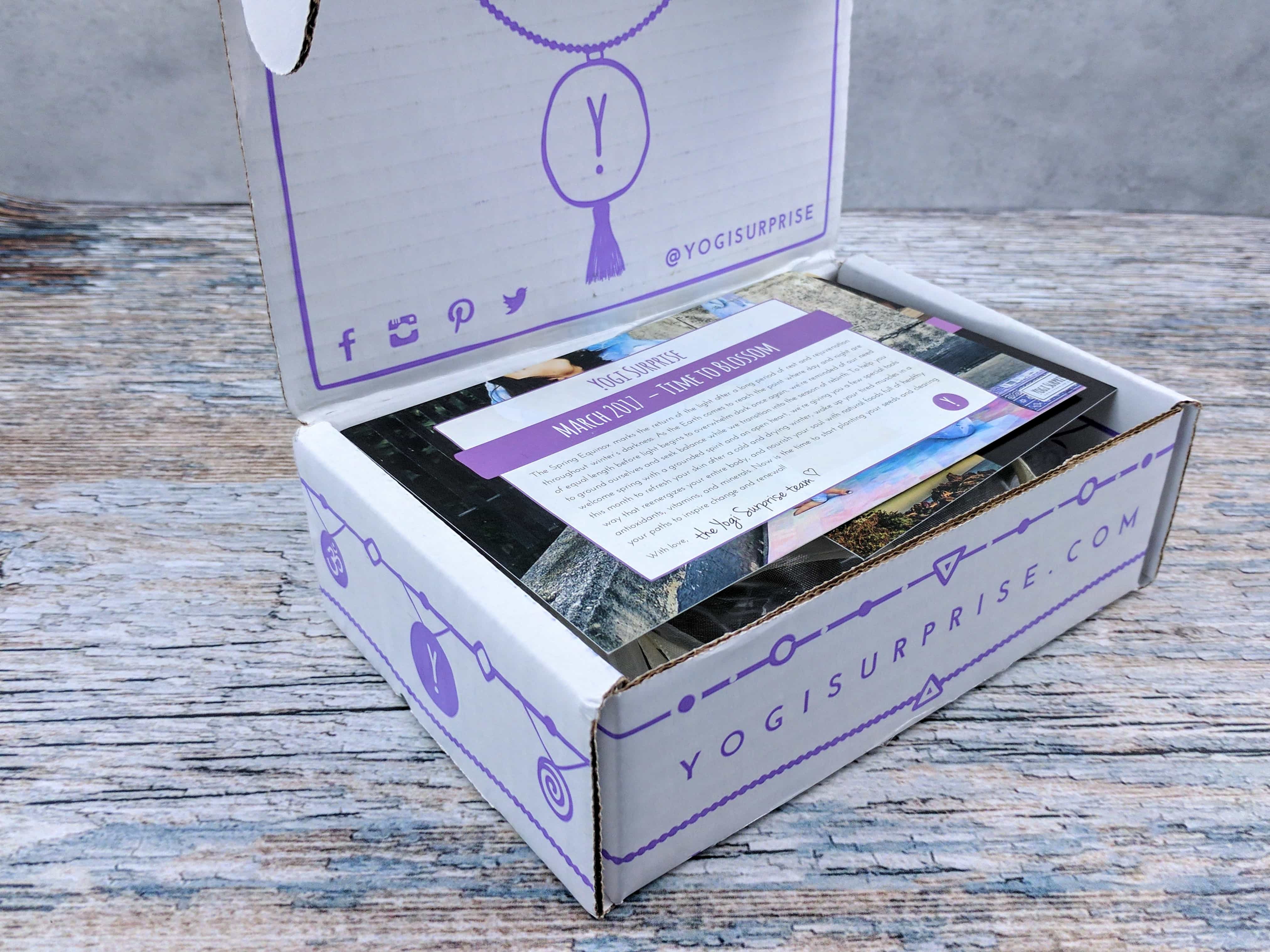 Yogi Surprise Jewelry Box Subscription Review - March 2017 - Hello ...