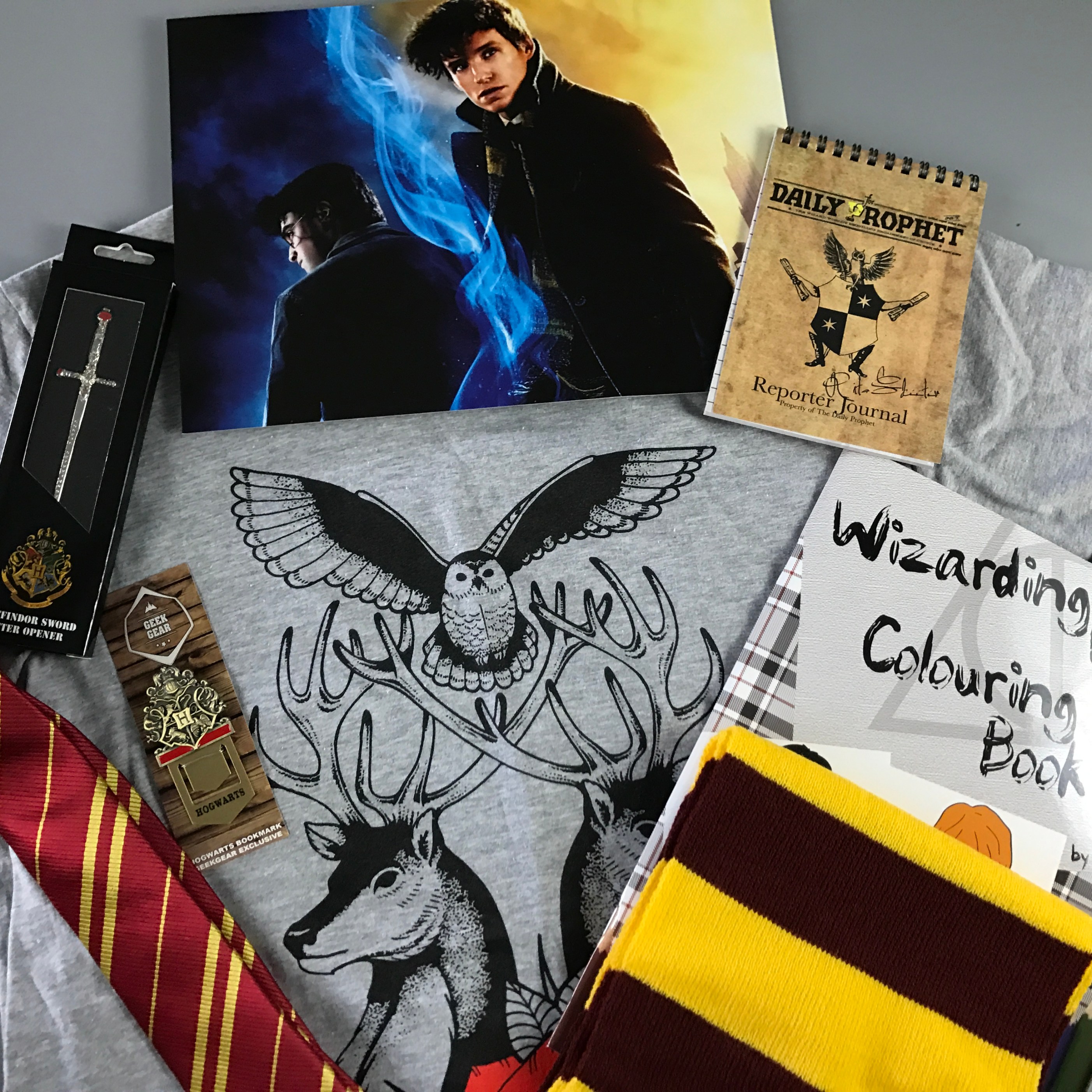 Geek Gear World of Wizardry February 2017 Subscription Box Review ...