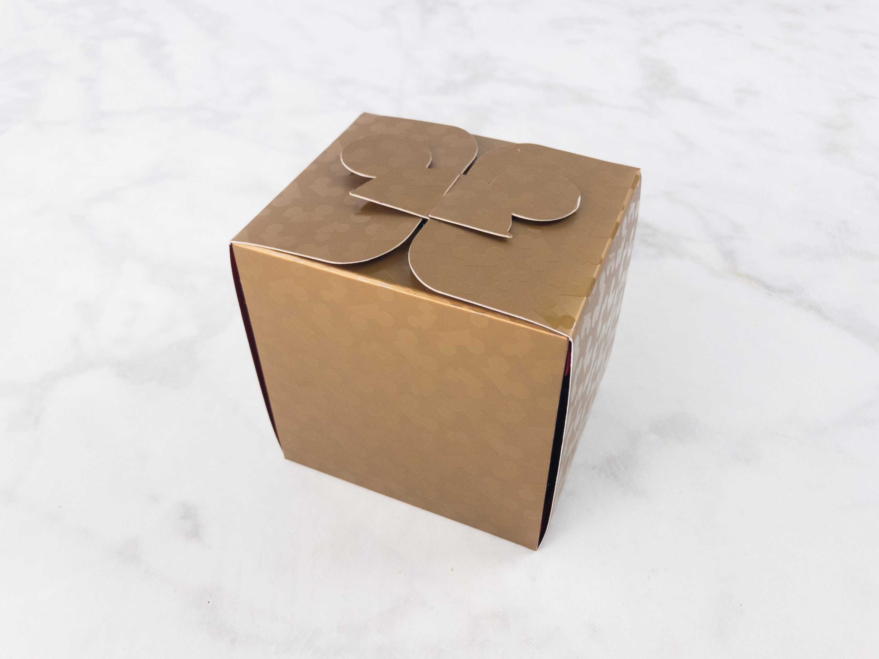 Disney Park Pack Holiday Edition March 2017 Subscription Box Review ...