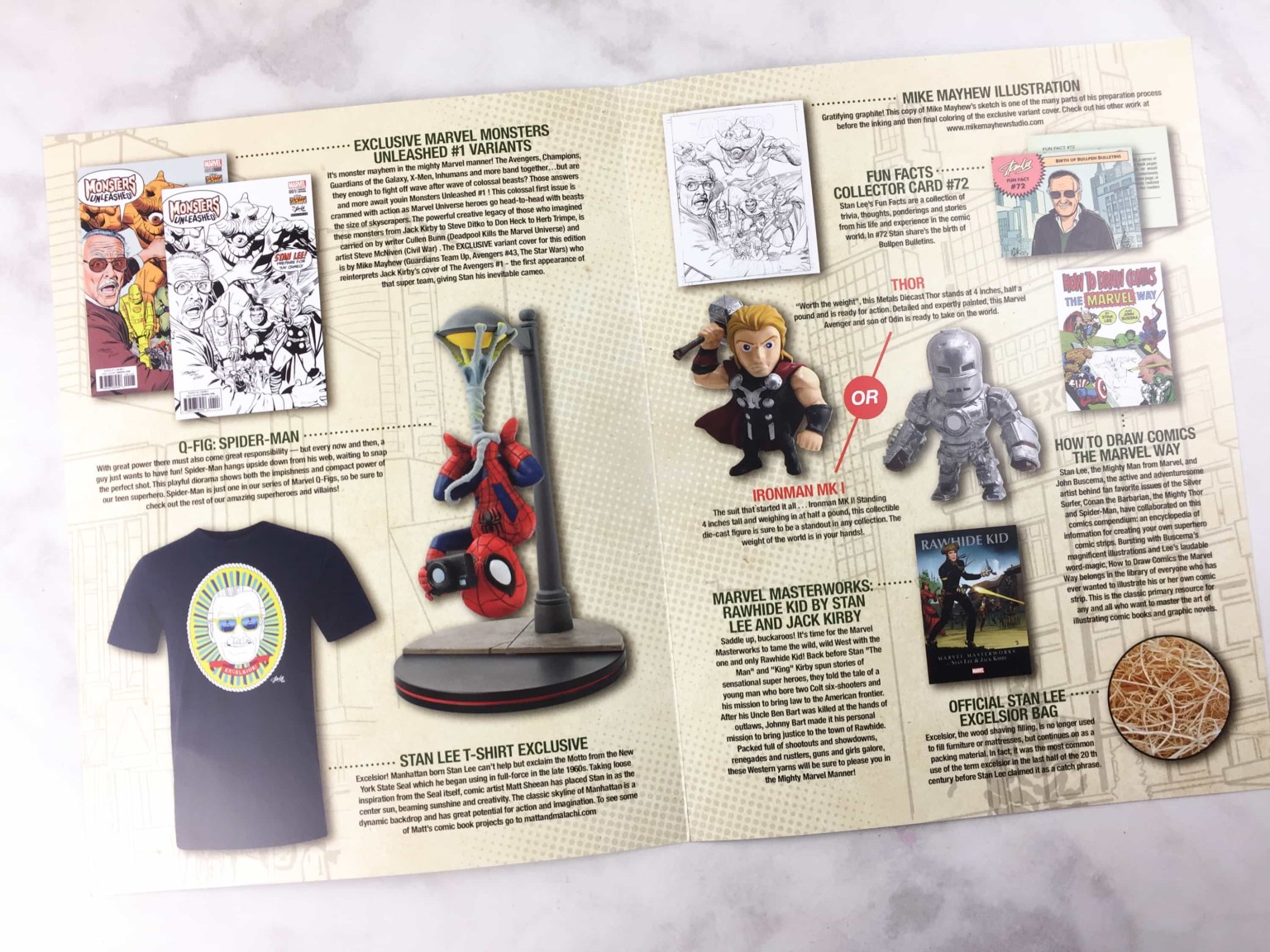 The Stan Lee Box February 2017 Subscription Box Review - Hello Subscription