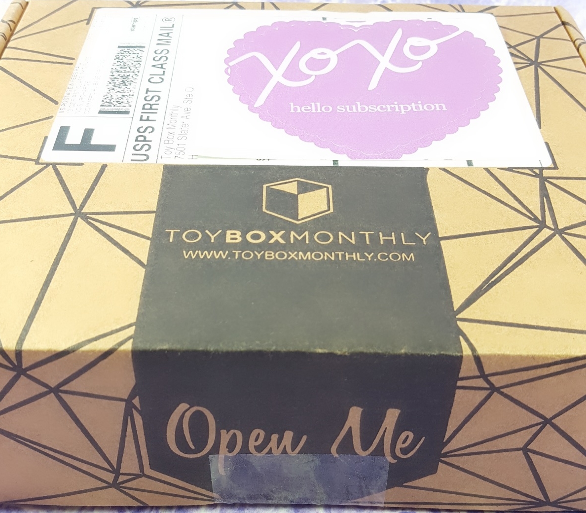 Toy Box Monthly February 2017 Subscription Box Review - Hello Subscription