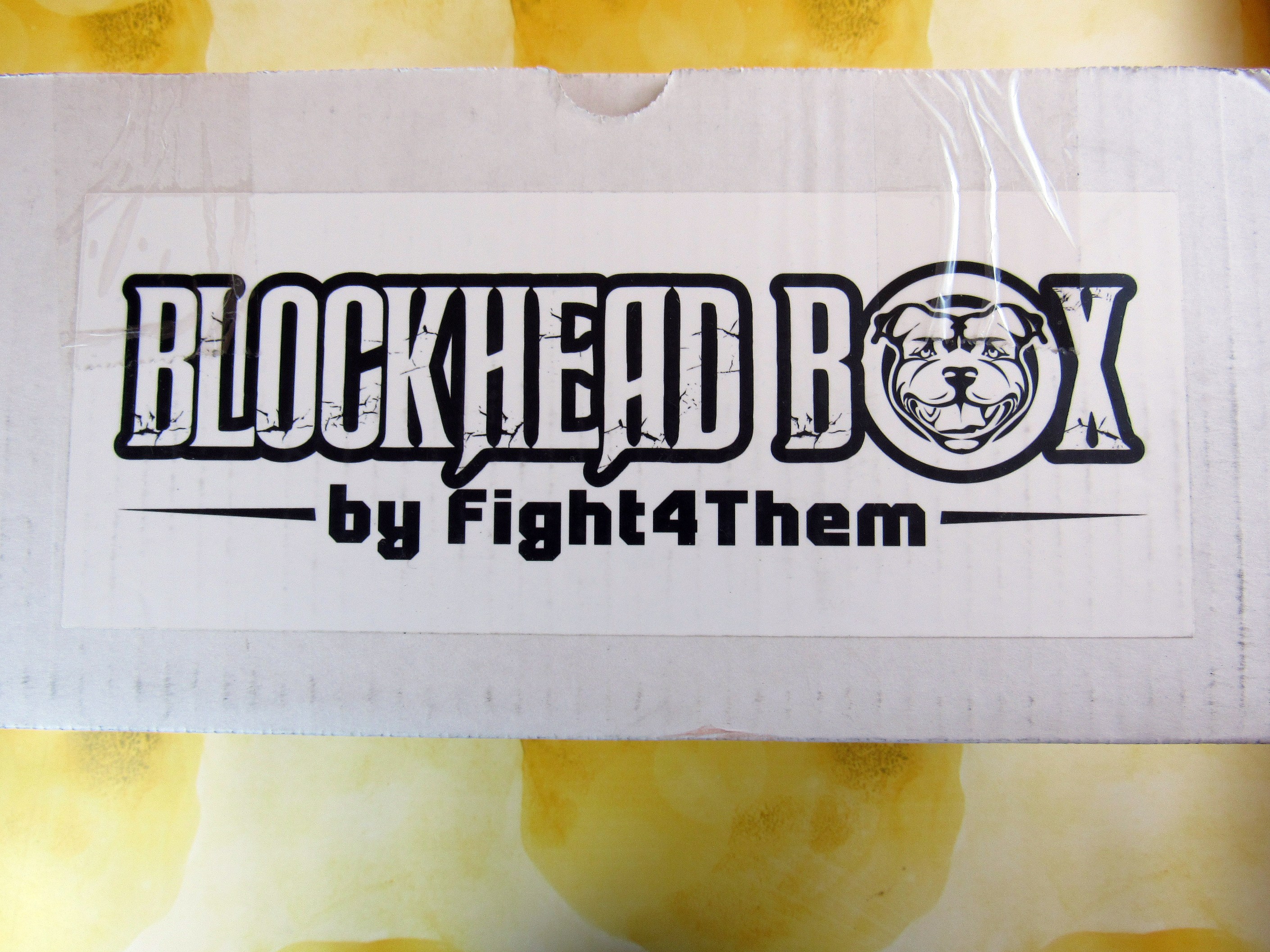 Blockhead Box March 2017 Subscription Box Review + Coupon - Hello ...