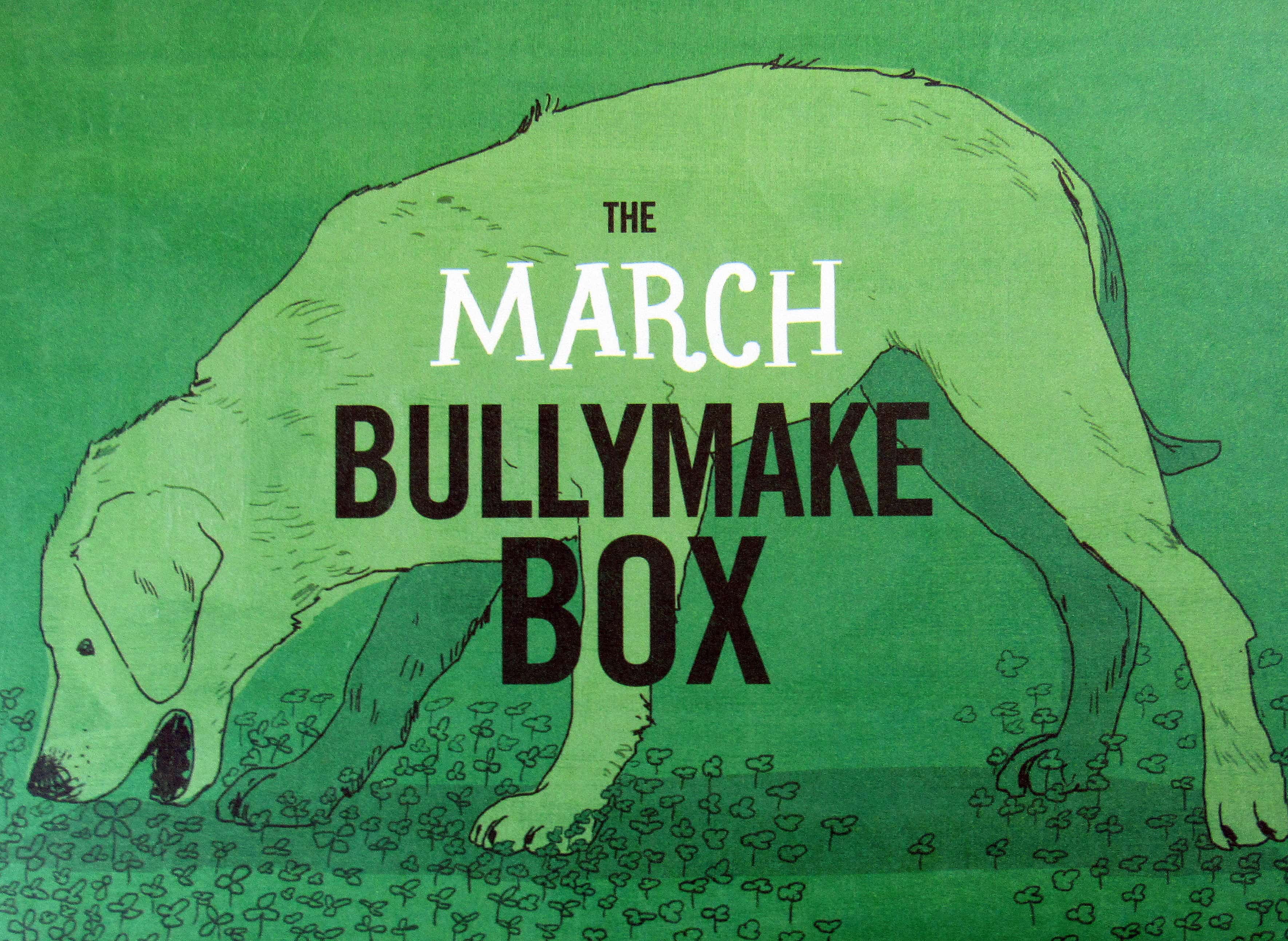 BullyMake Subscription Box Review + Coupon - March 2017 - Hello ...