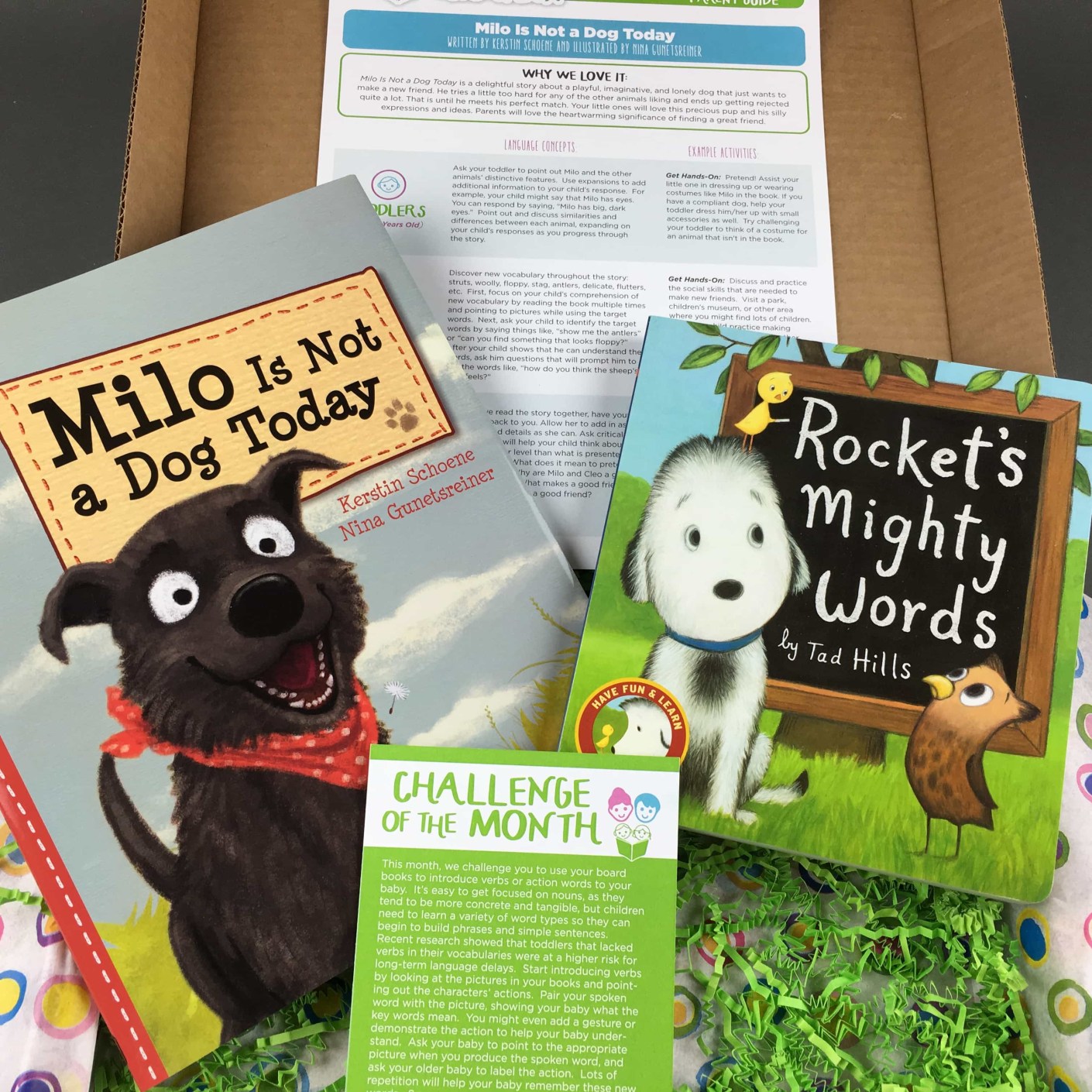 The Story Box Reviews: Get All The Details At Hello Subscription!