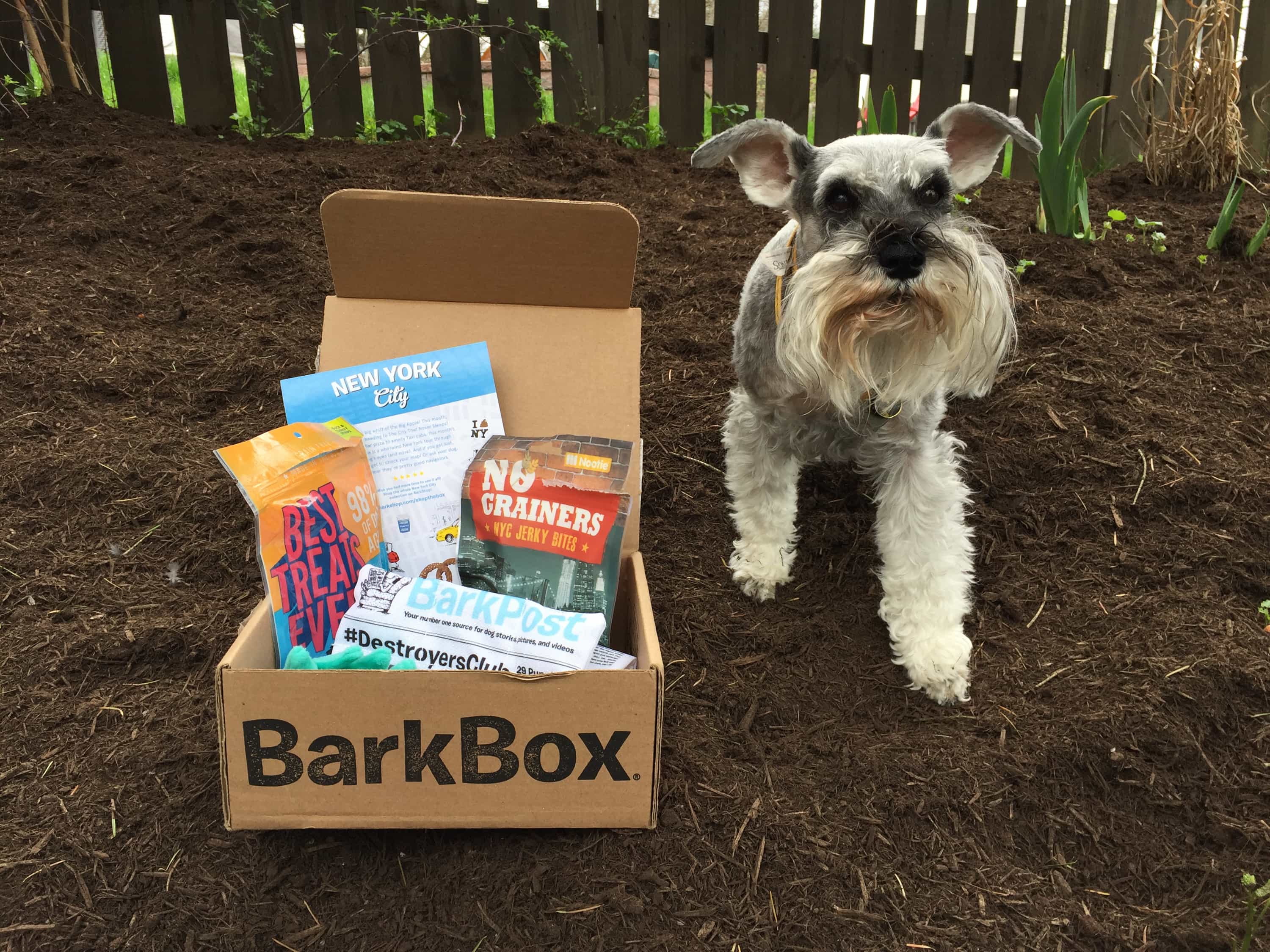 Barkbox April 2017 Subscription Box Review + Coupon - hello subscription