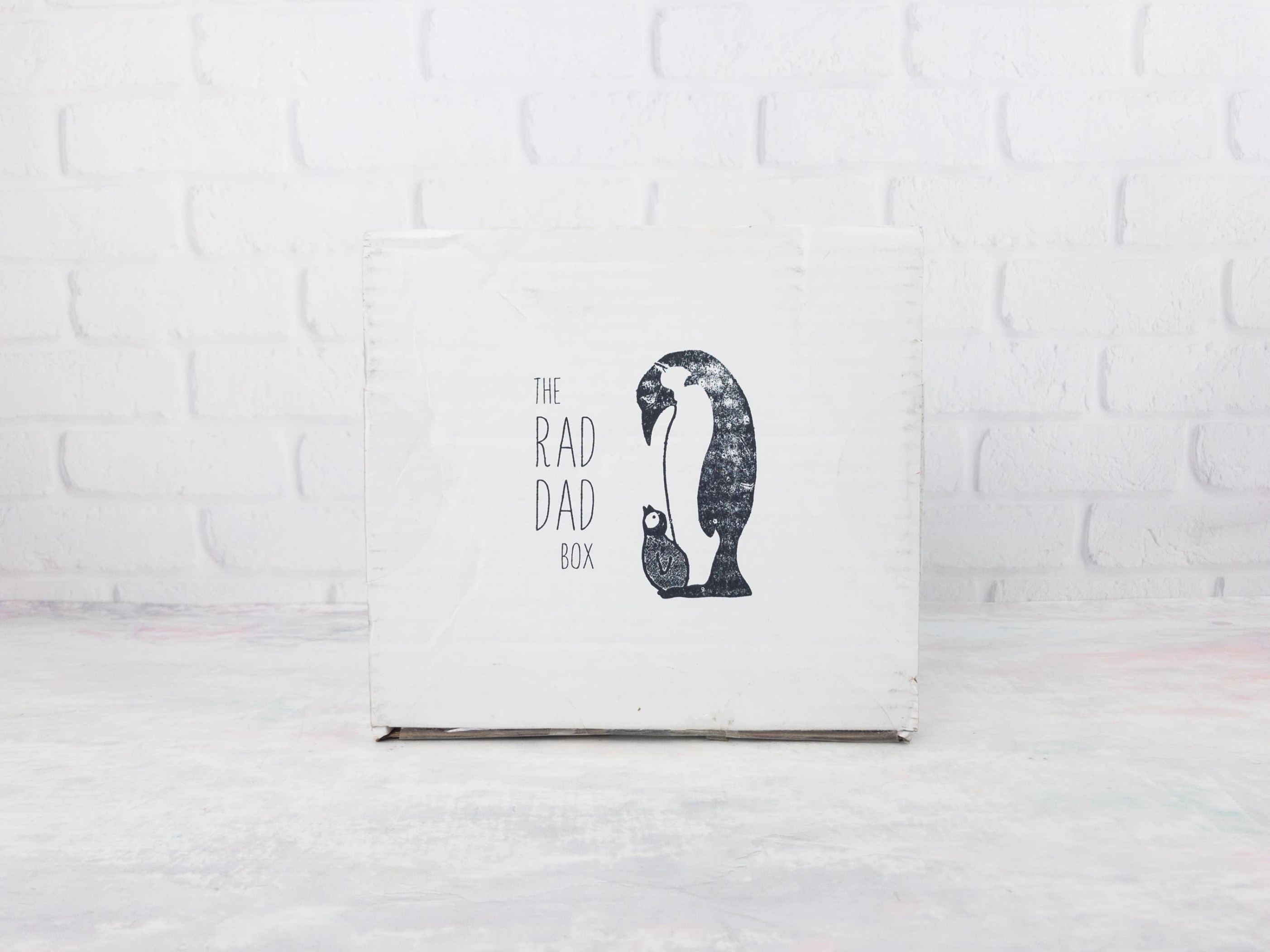 The Rad Dad Box April 2017 Subscription Box Review + Coupon! - Hello ...