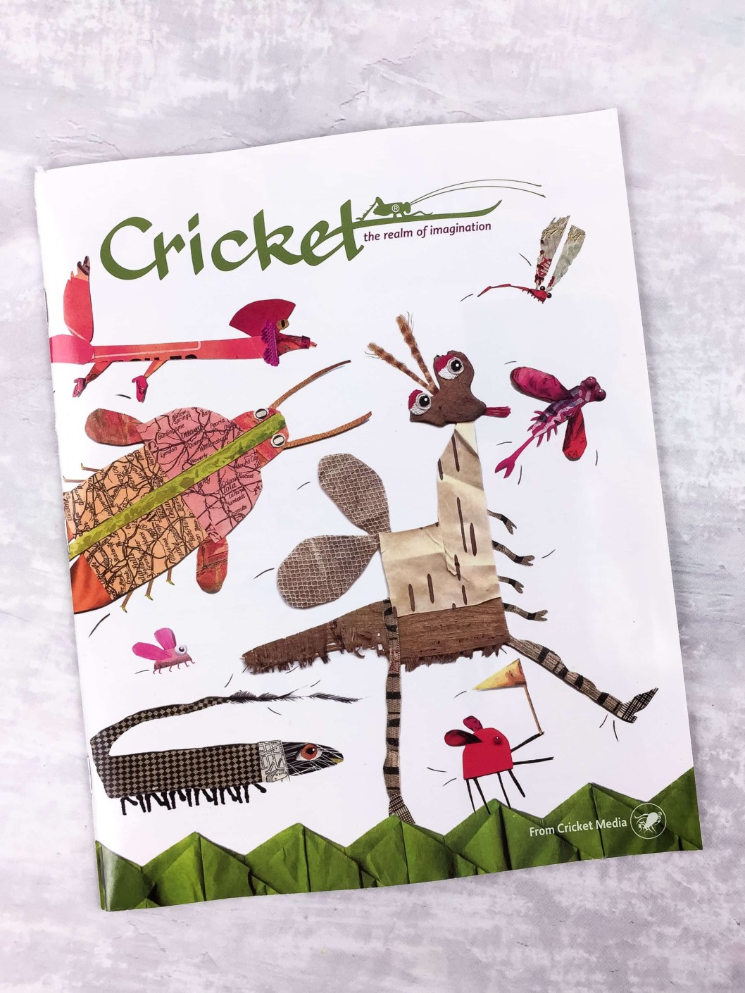 Cricket Media Magazine April 2017 Subscription Review: Cricket, Click ...