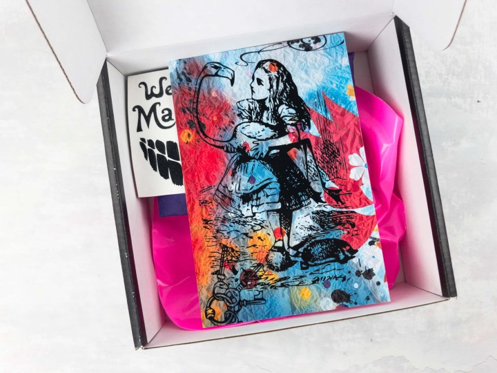 Geek Chic Monthly April 2017 Subscription Box Review - Hello Subscription