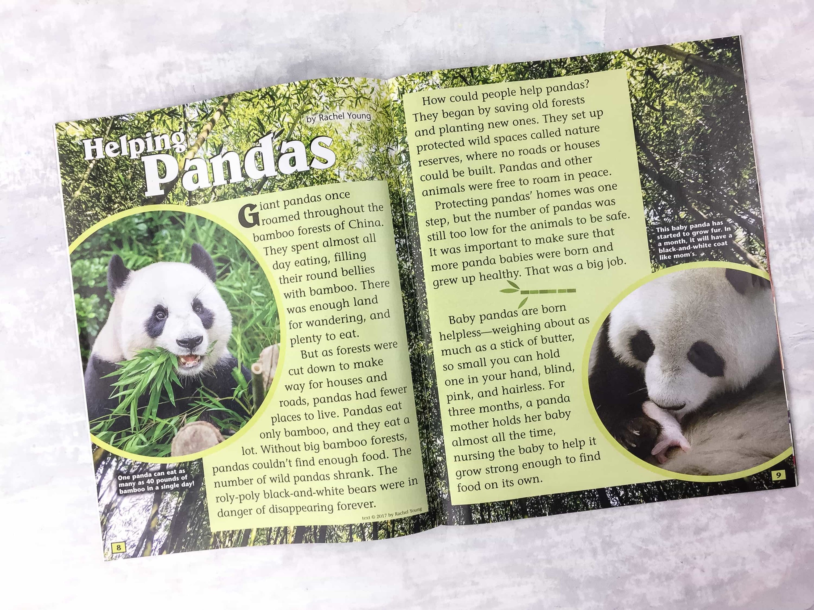 Cricket Media Magazine May-June 2017 Subscription Review: Cricket ...