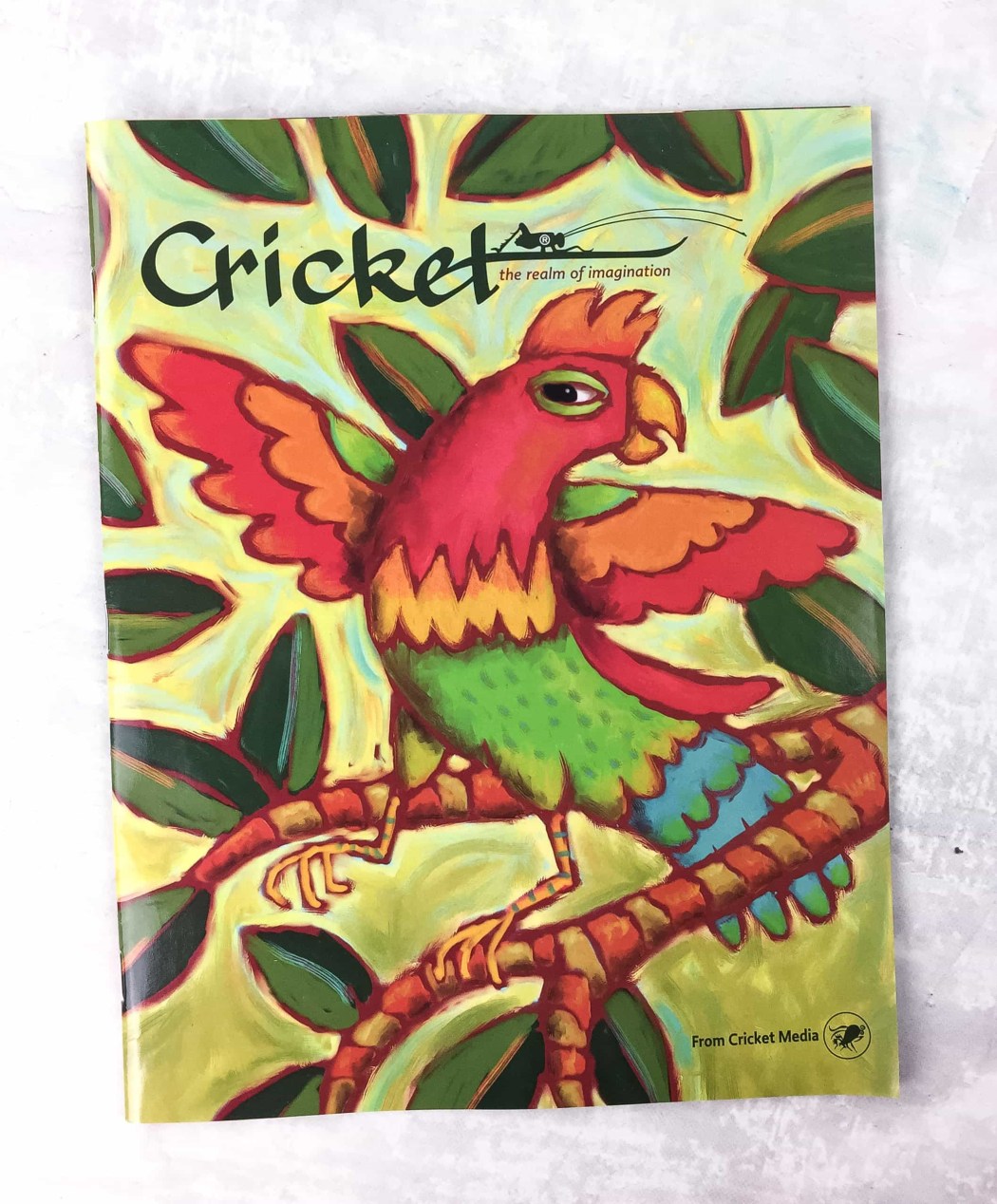 Cricket Media Magazine May-June 2017 Subscription Review: Cricket ...