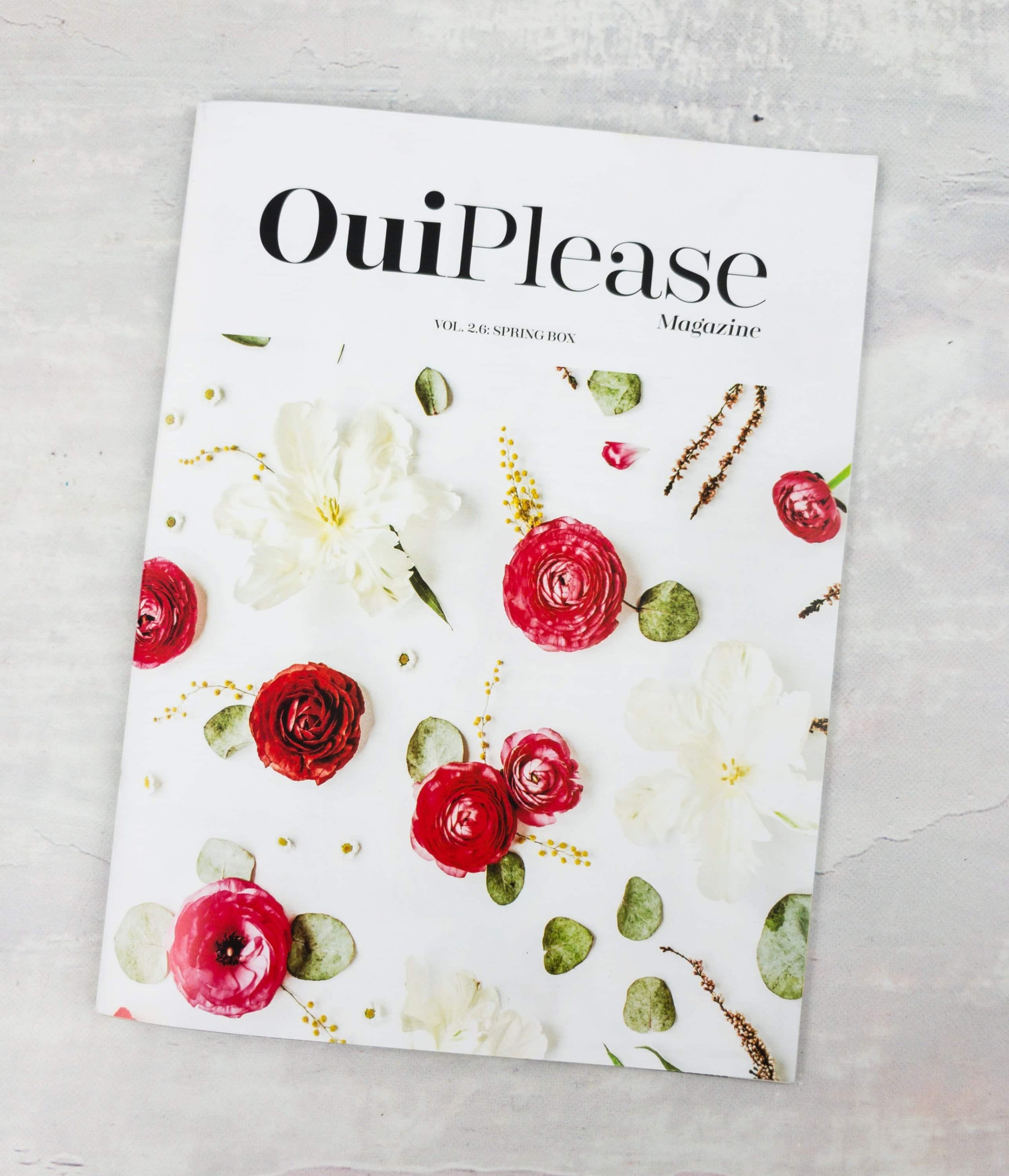 Oui Please April 2017 Subscription Box Review: Vol. 2.6 - Hello ...