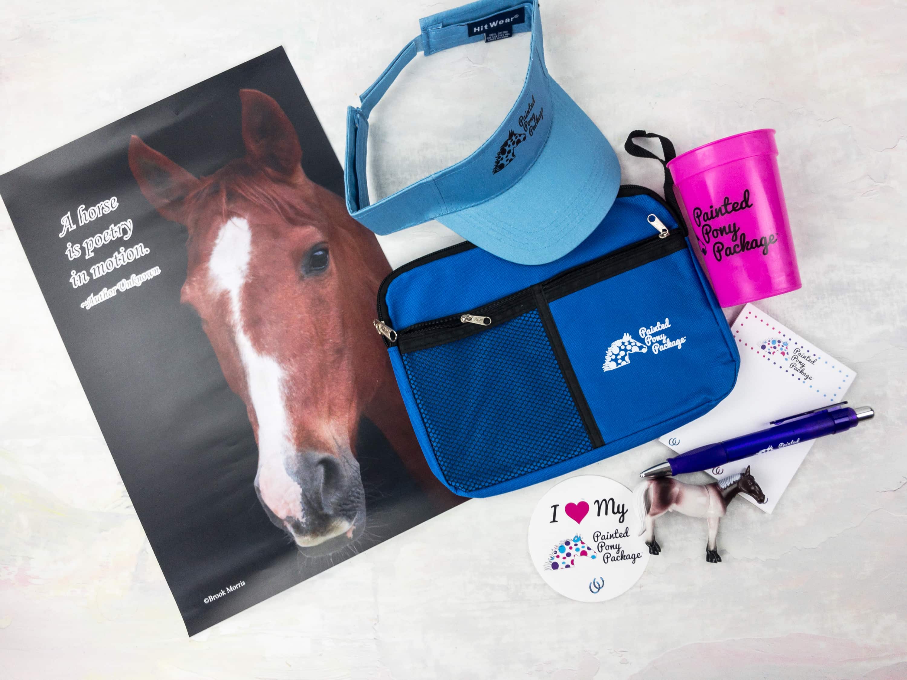 Painted Pony Package May 2017 Subscription Box Review - Hello Subscription