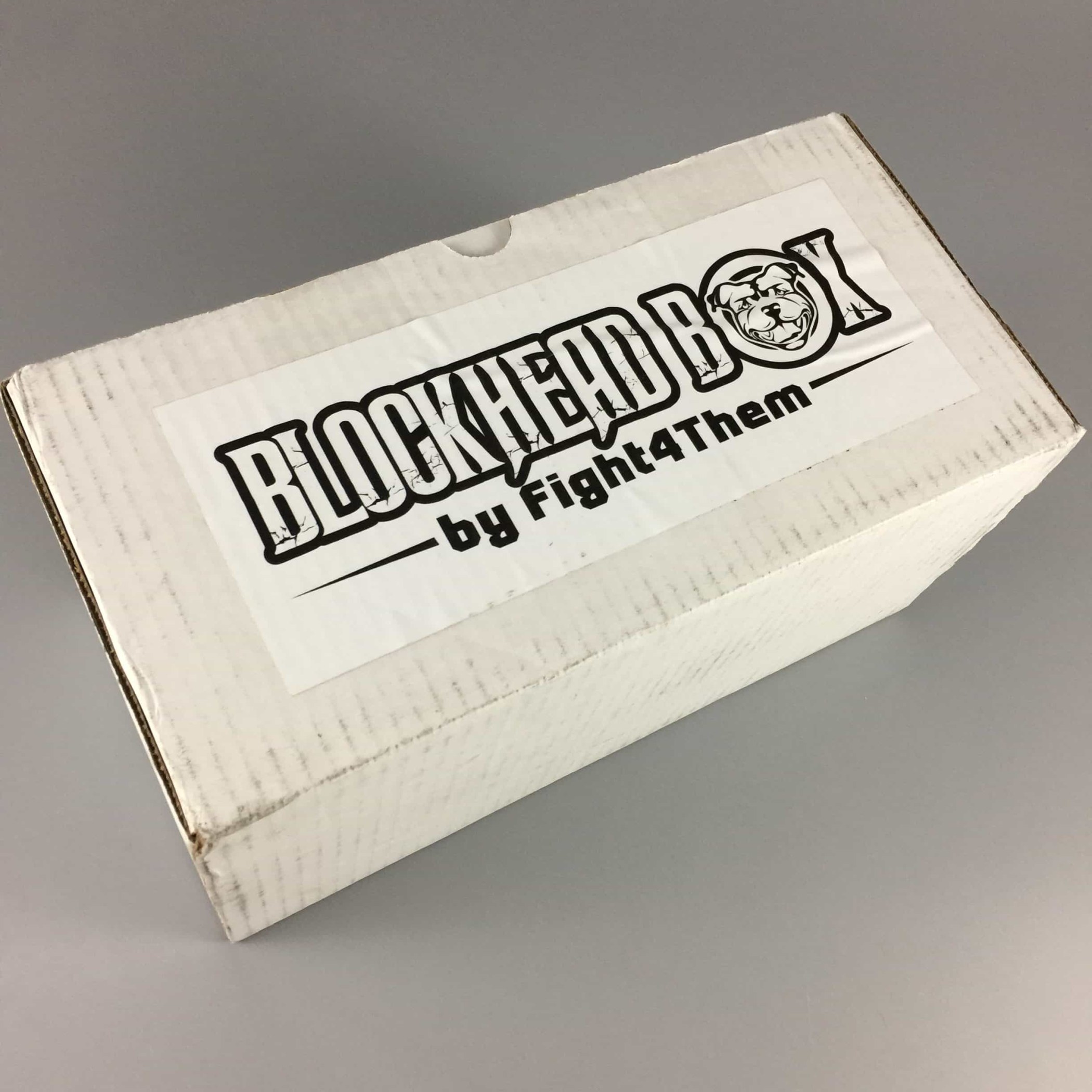 Blockhead Box June 2017 Subscription Box Review + Coupon - Hello ...