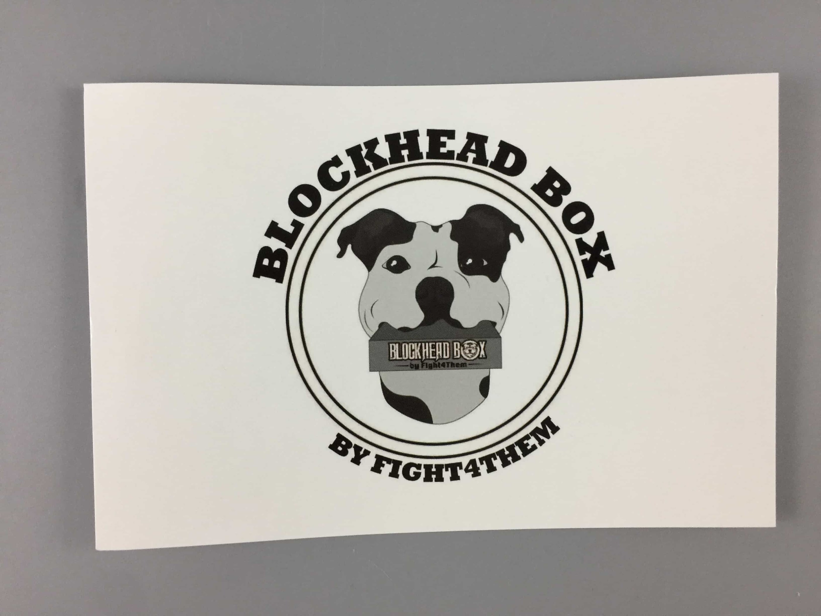 Blockhead Box June 2017 Subscription Box Review + Coupon - Hello ...