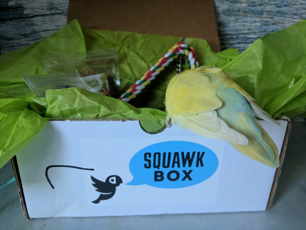 Squawk Box Subscription Box Review - June 2017 - Hello Subscription