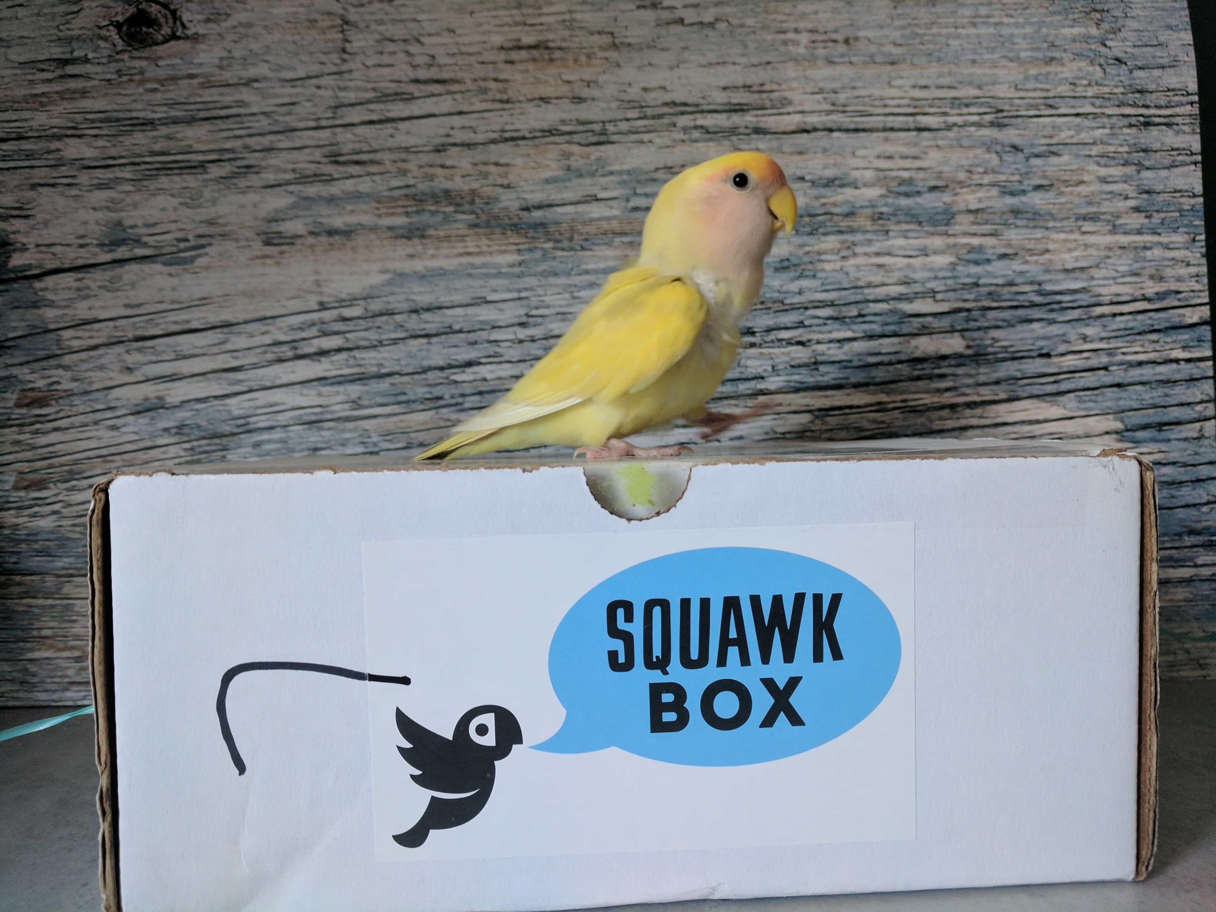 Squawk Box Subscription Box Review - June 2017 - Hello Subscription