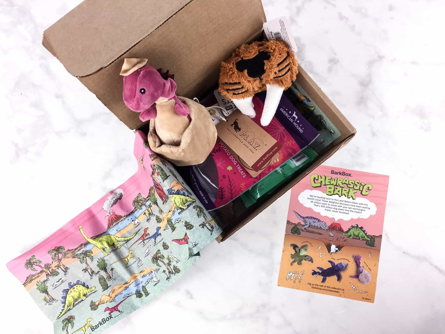 Barkbox June 2017 Subscription Box Review + Coupon - Hello Subscription