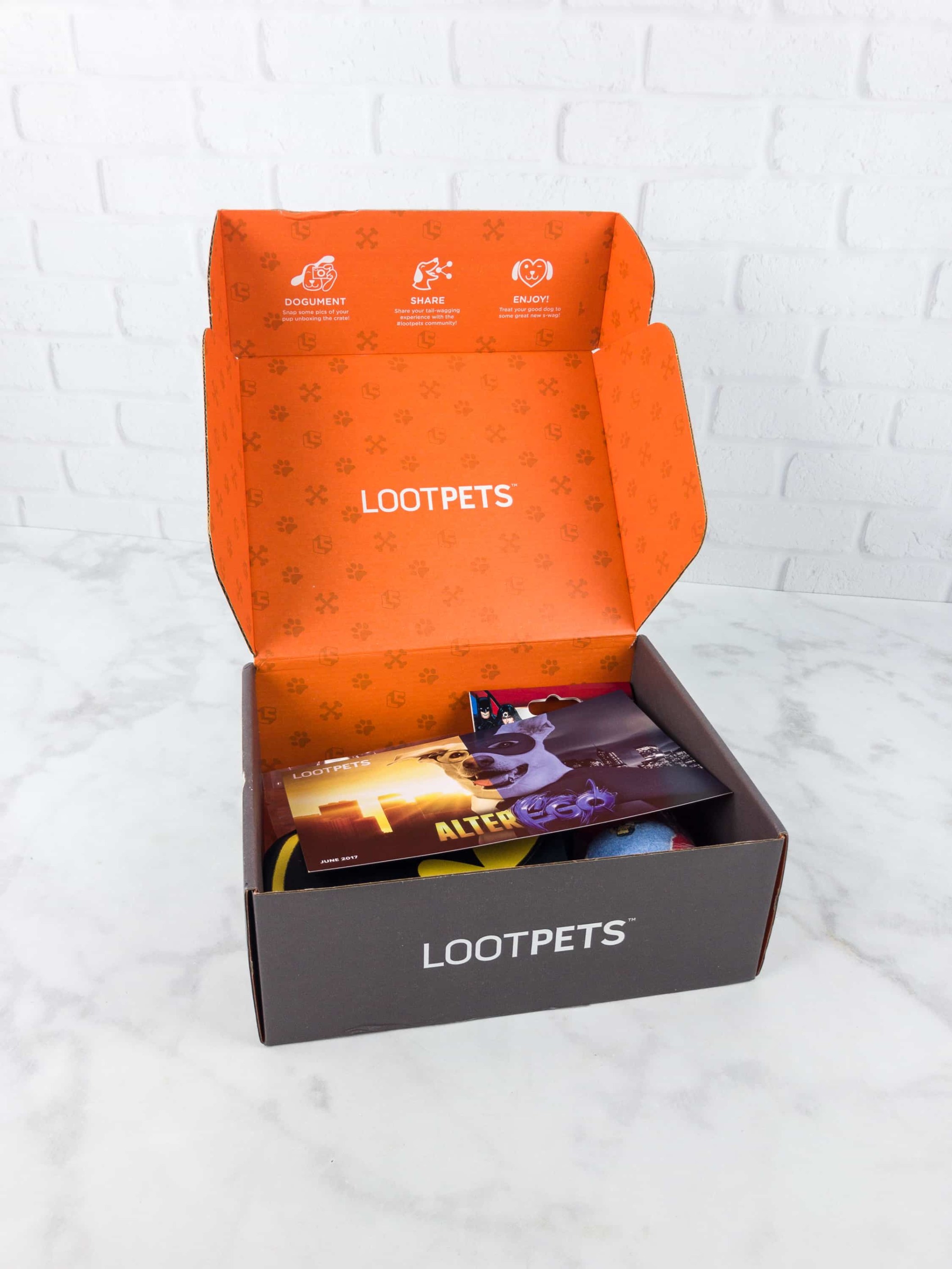 Loot Pets June 2017 Review & Coupon - Hello Subscription