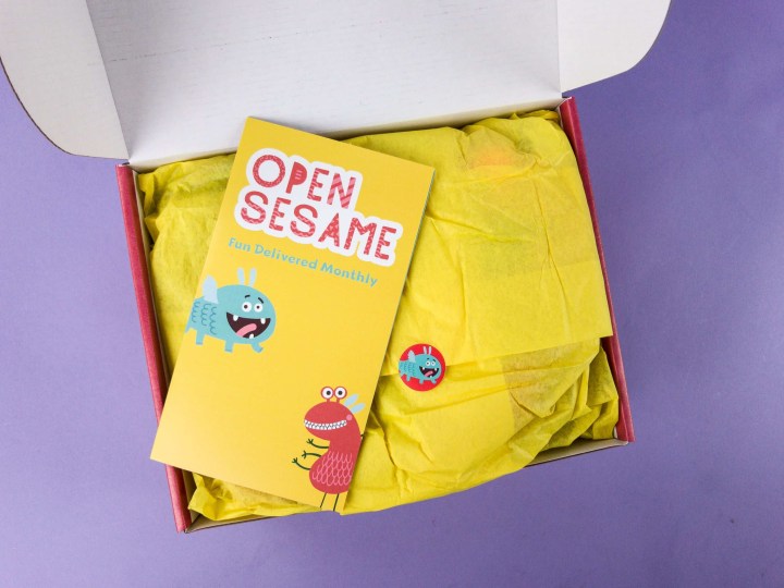 Open Sesame June 2017 Subscription Box Review - Hello Subscription