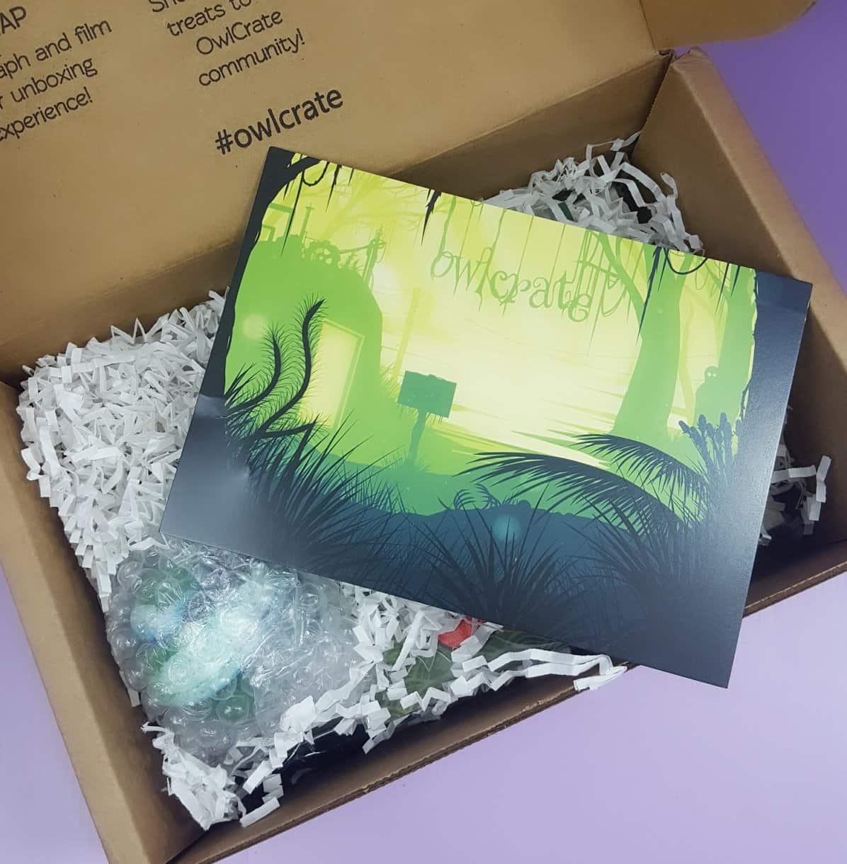 OwlCrate June 2017 Subscription Box Review + Coupon - Hello Subscription