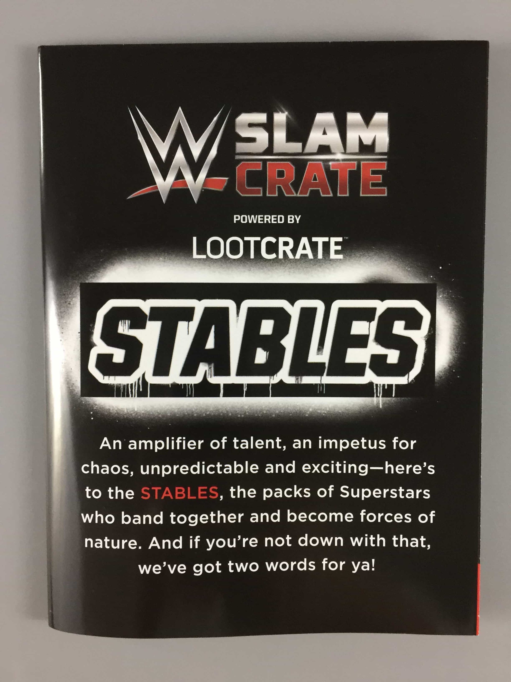 WWE Slam Crate June/July 2017 Subscription Box Review + Coupons - Hello Subscription
