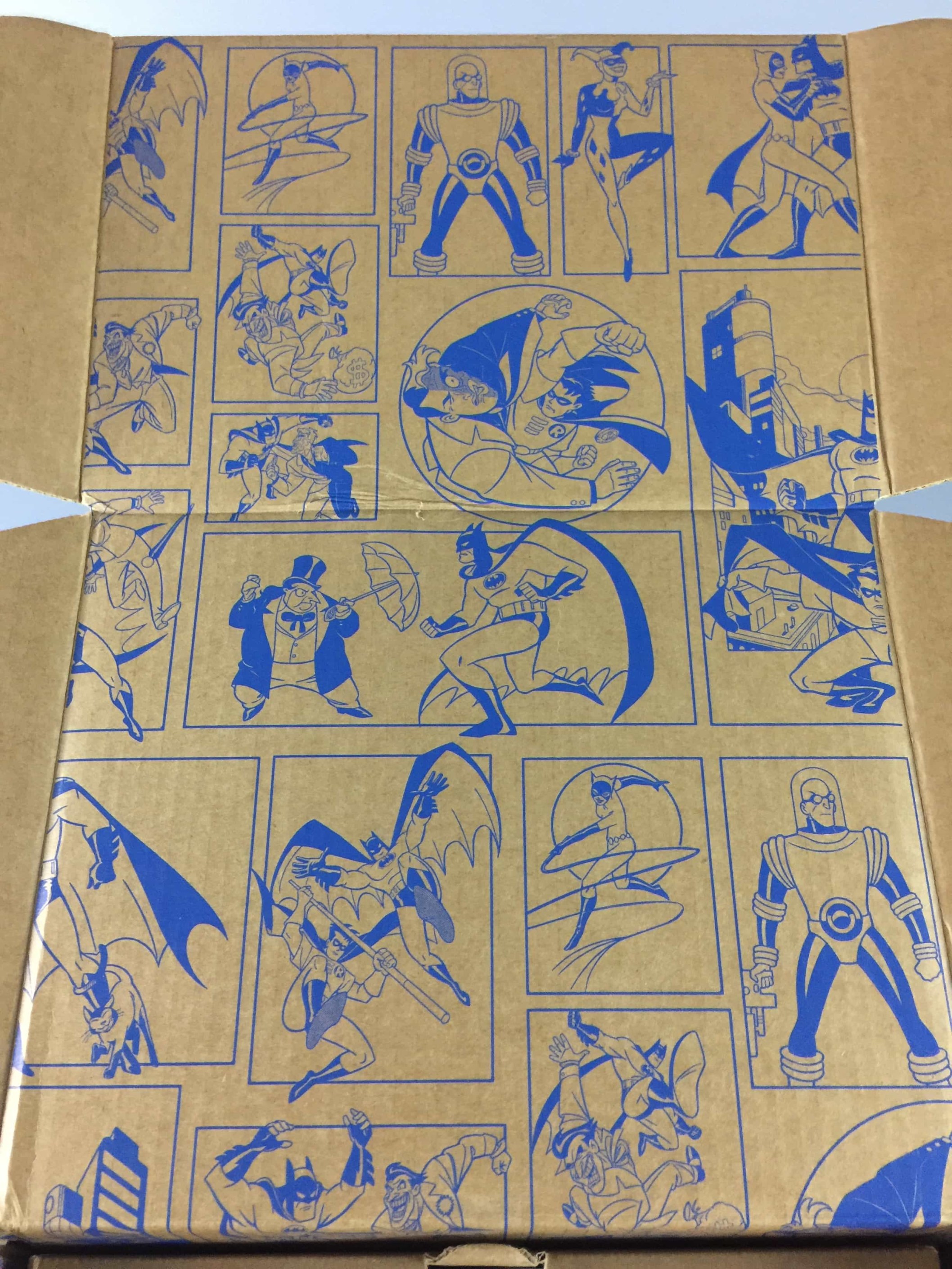 DC Legion of Collectors July 2017 Subscription Box Review - Hello ...