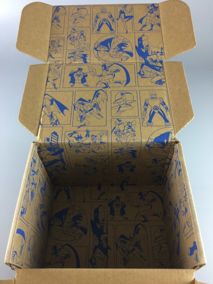 DC Legion of Collectors July 2017 Subscription Box Review - Hello ...