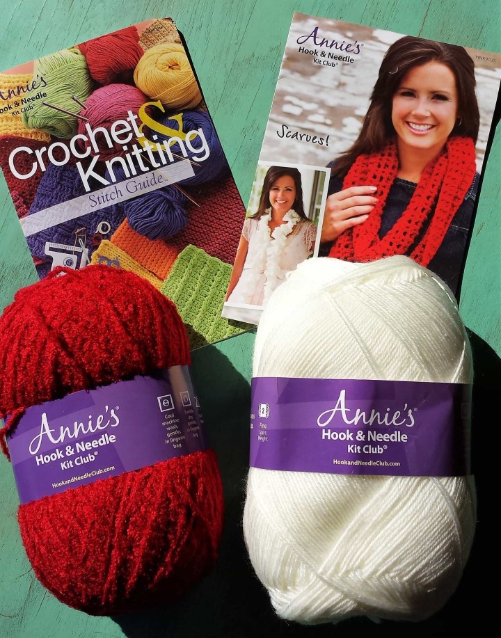 Annie's Hook & Needle Craft Kit Subscription Box Review - March 2017 ...