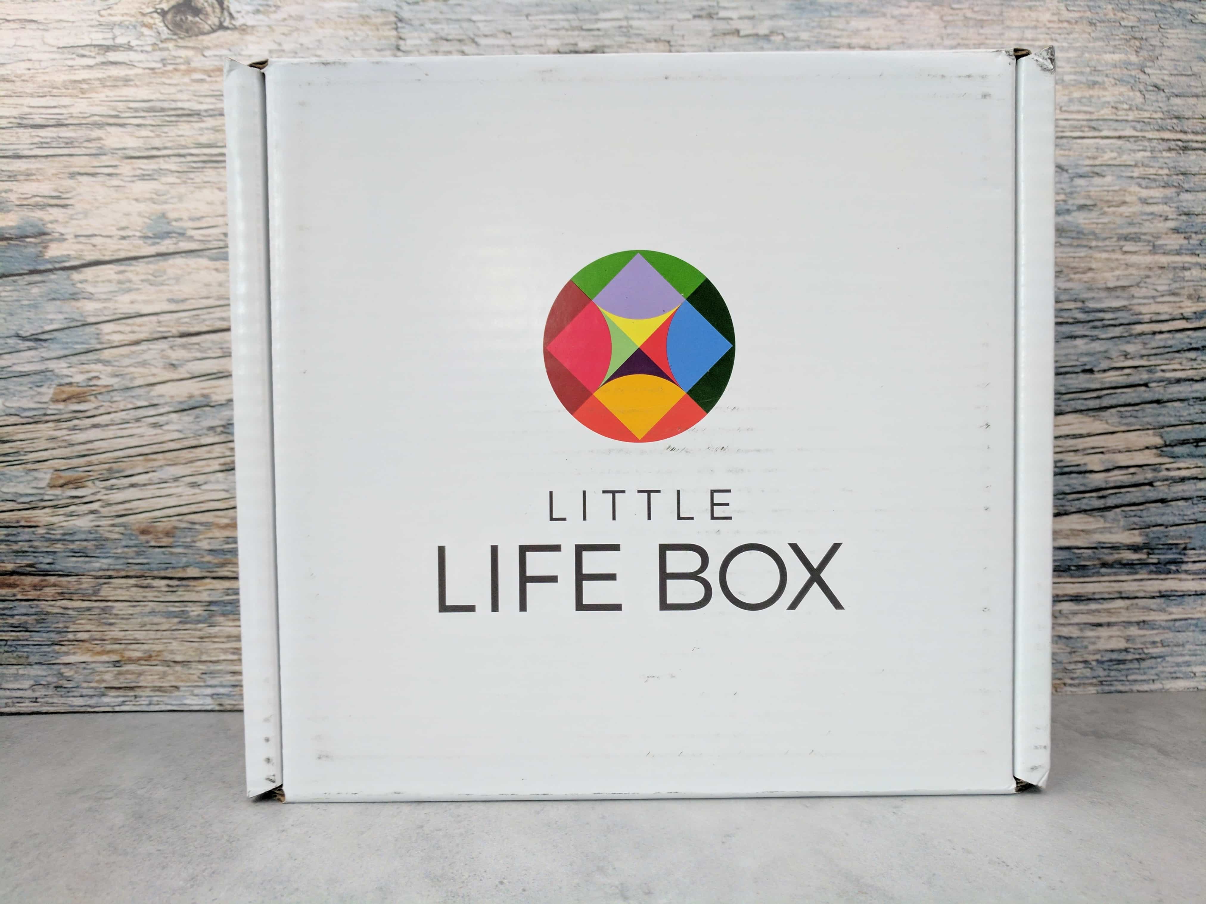 Little Life Box Subscription Box Review + Coupon - July 2017 - Hello ...