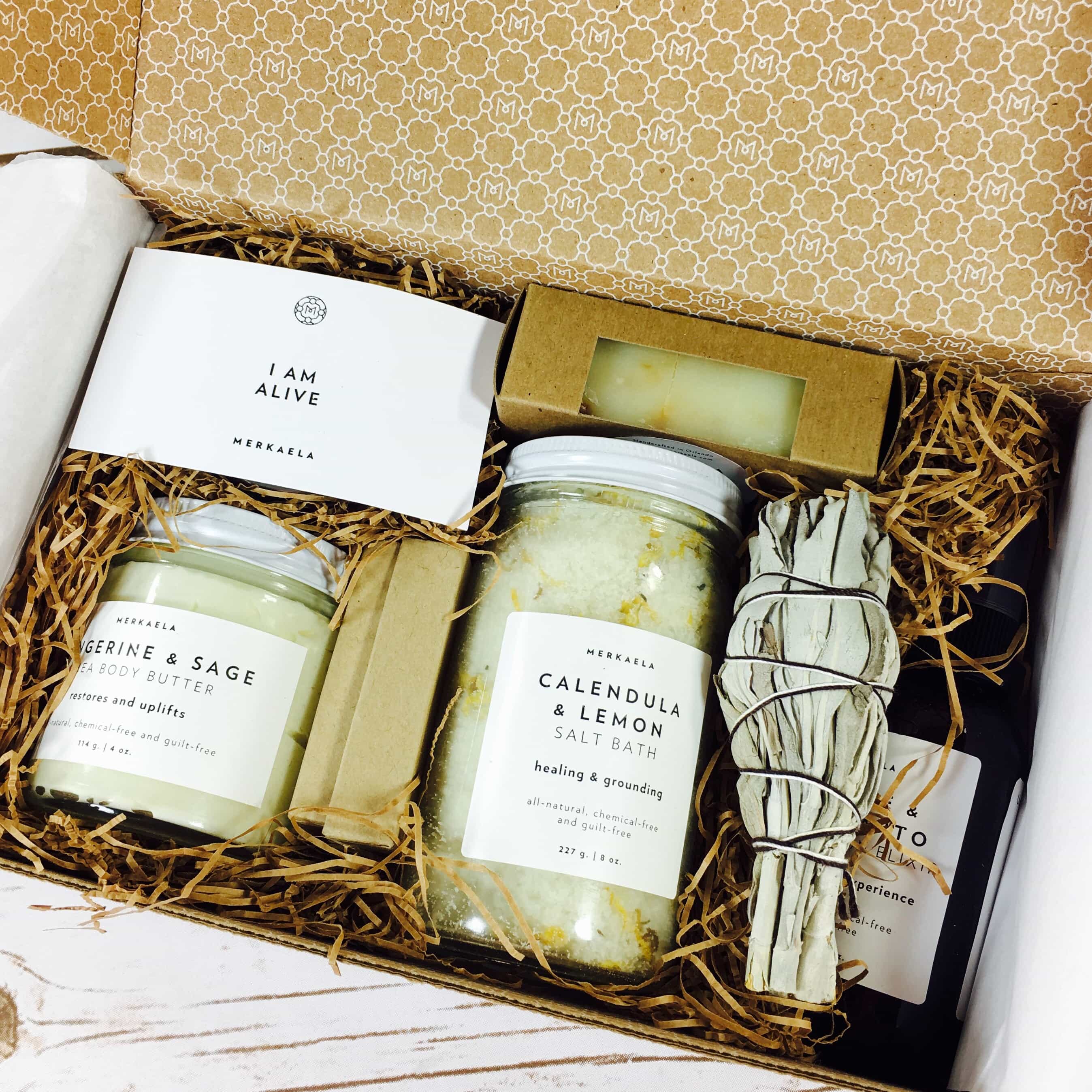 Merkaela Summer 2017 Subscription Box Review + Coupon - Alive - Hello ...