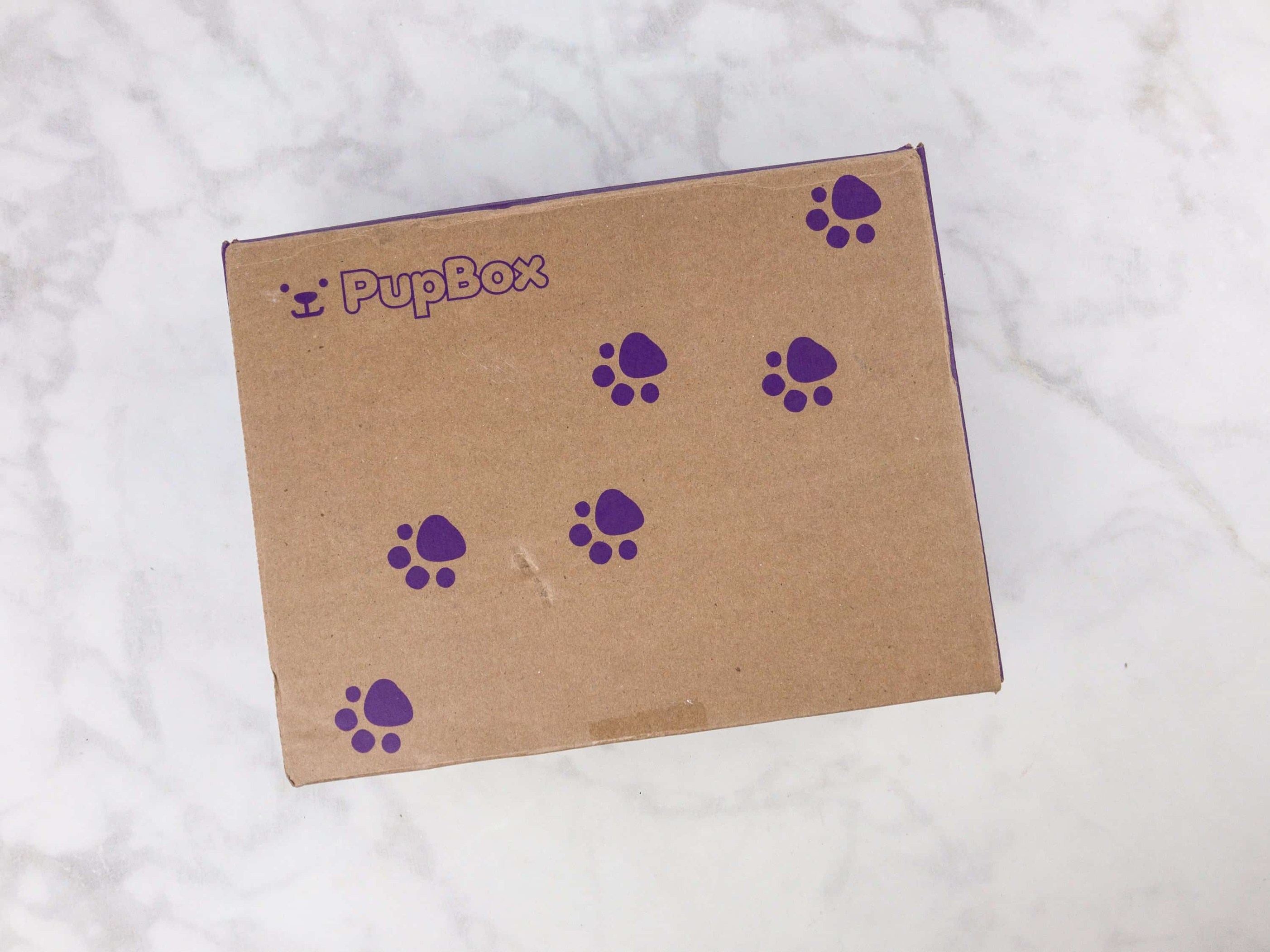 PupBox July 2017 Subscription Box Review + Coupon! - Hello Subscription