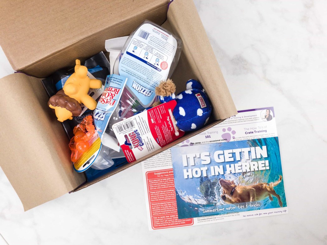 PupBox July 2017 Subscription Box Review + Coupon! - Hello Subscription