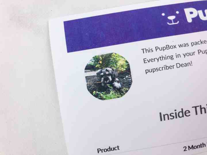 PupBox July 2017 Subscription Box Review + Coupon! - hello subscription