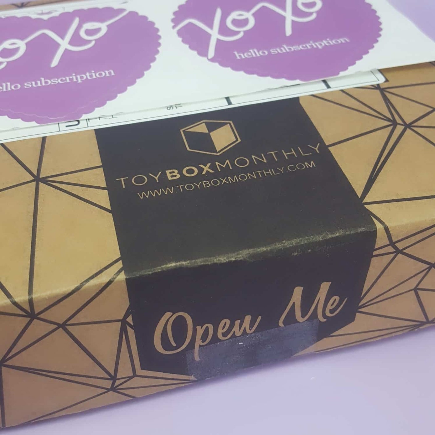 Toy Box Monthly July 2017 Subscription Box Review - Hello Subscription