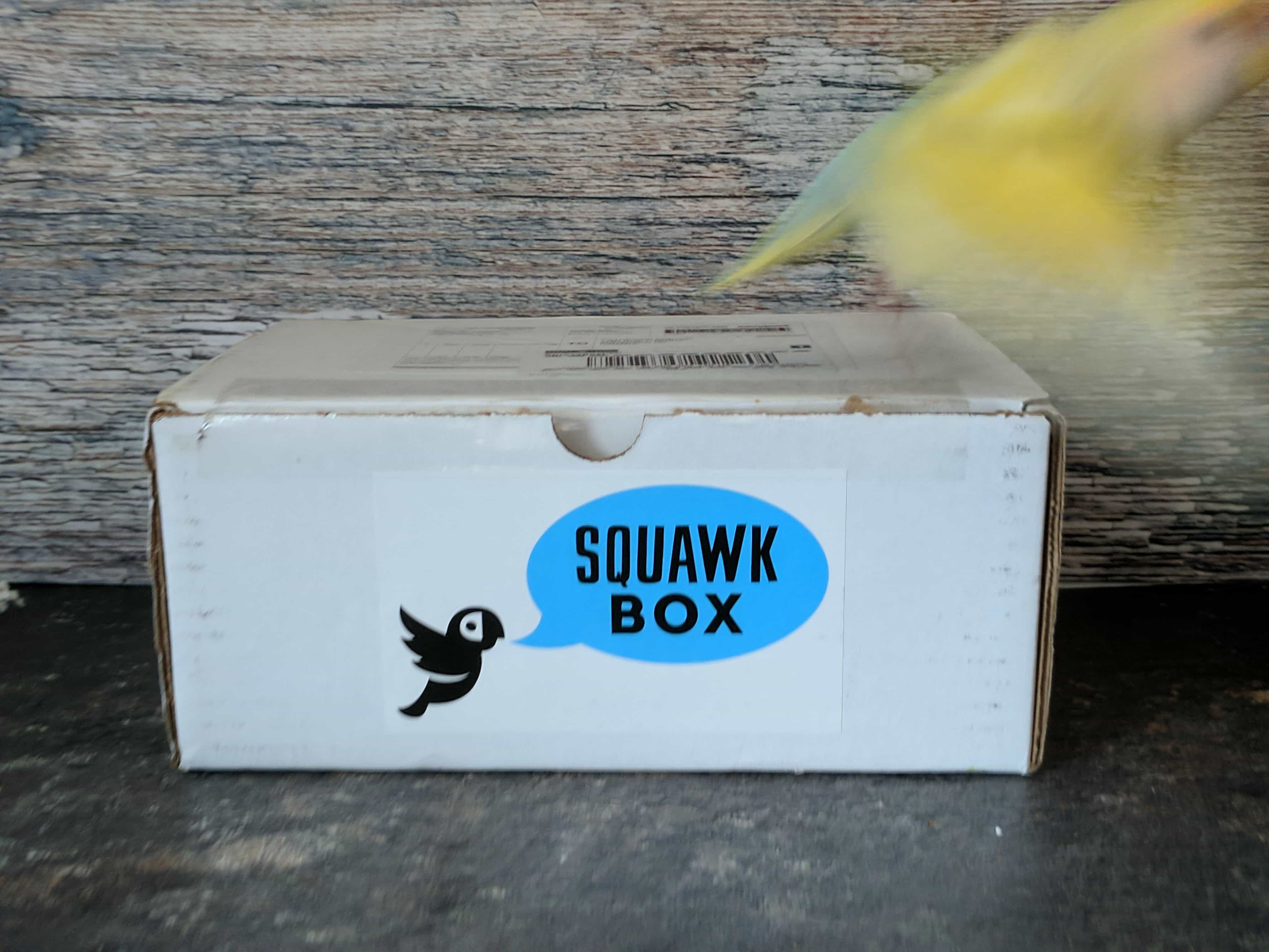 Squawk Box Subscription Box Review - August 2017 - Hello Subscription
