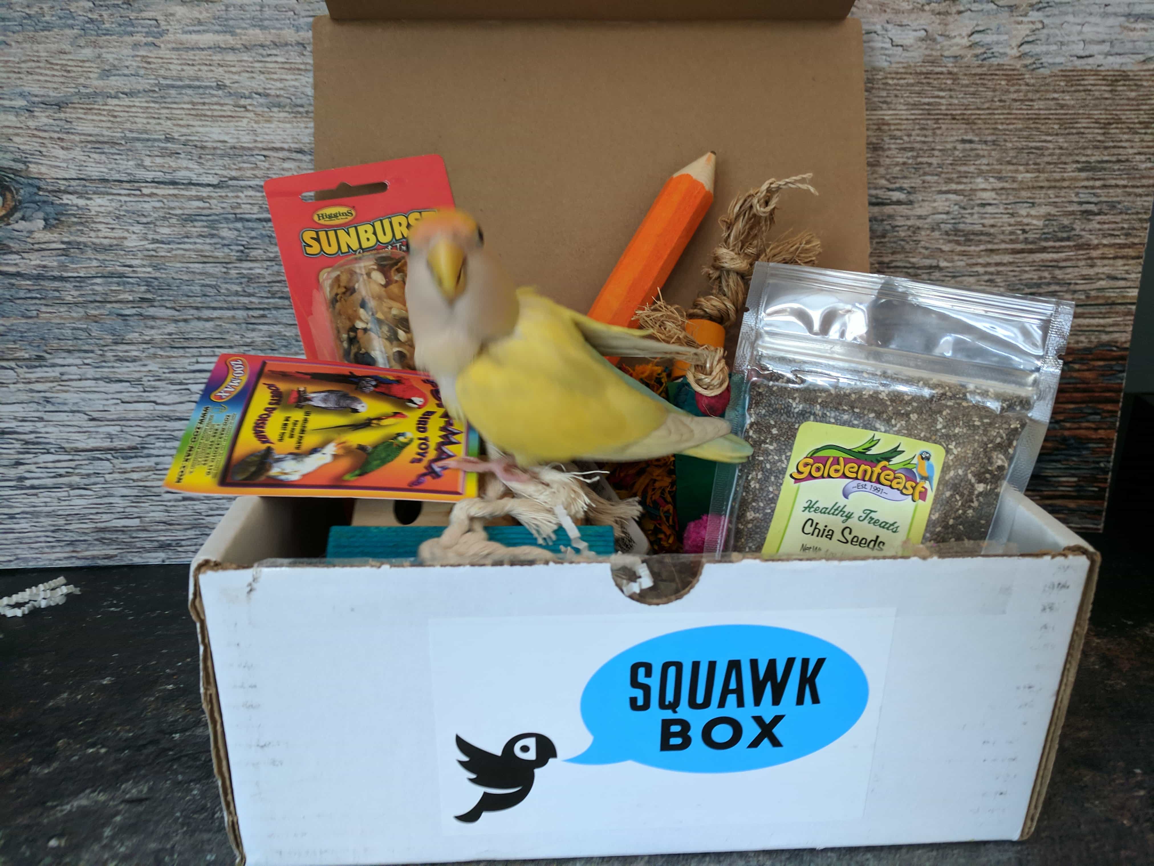 Squawk Box Subscription Box Review - August 2017 - Hello Subscription