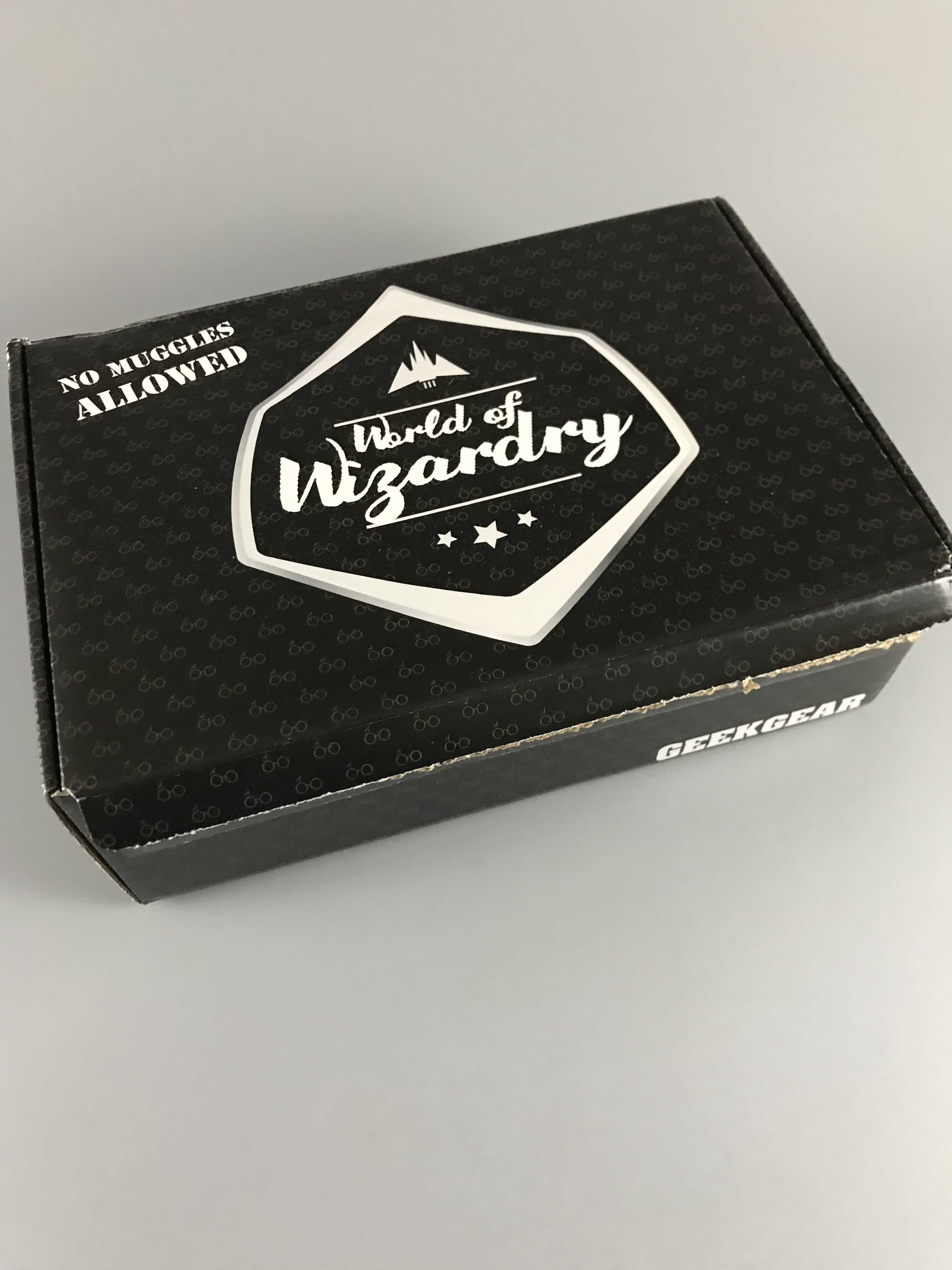 Geek Gear World of Wizardry August 2017 Subscription Box Review - Hello ...