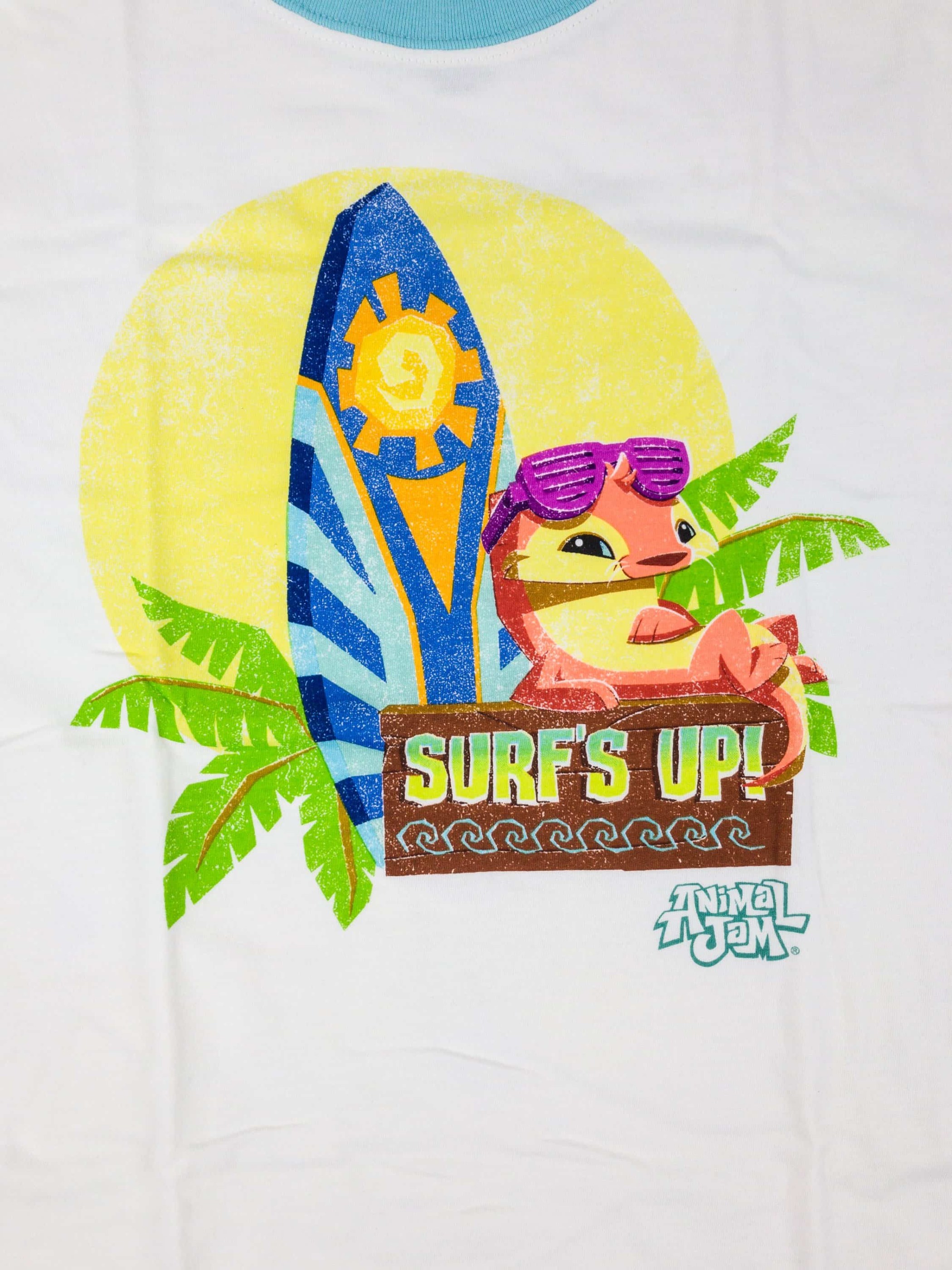 Animal Jam Box Summer 2017 Review - Hello Subscription