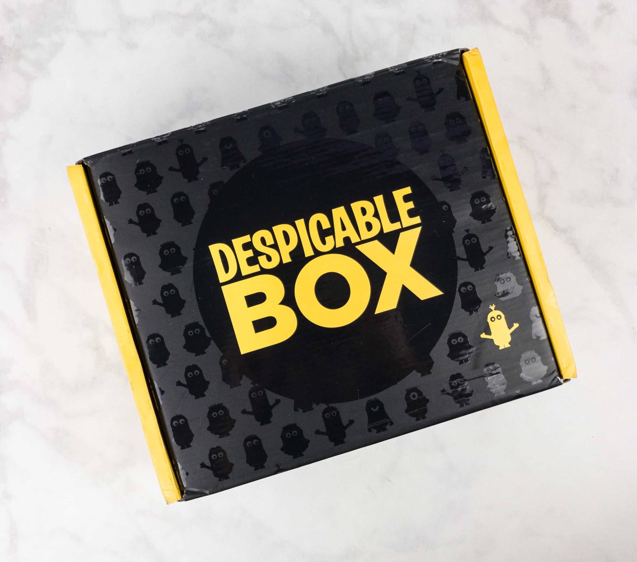 The Despicable Box Summer 2017 Subscription Box Review + Coupon - Hello ...