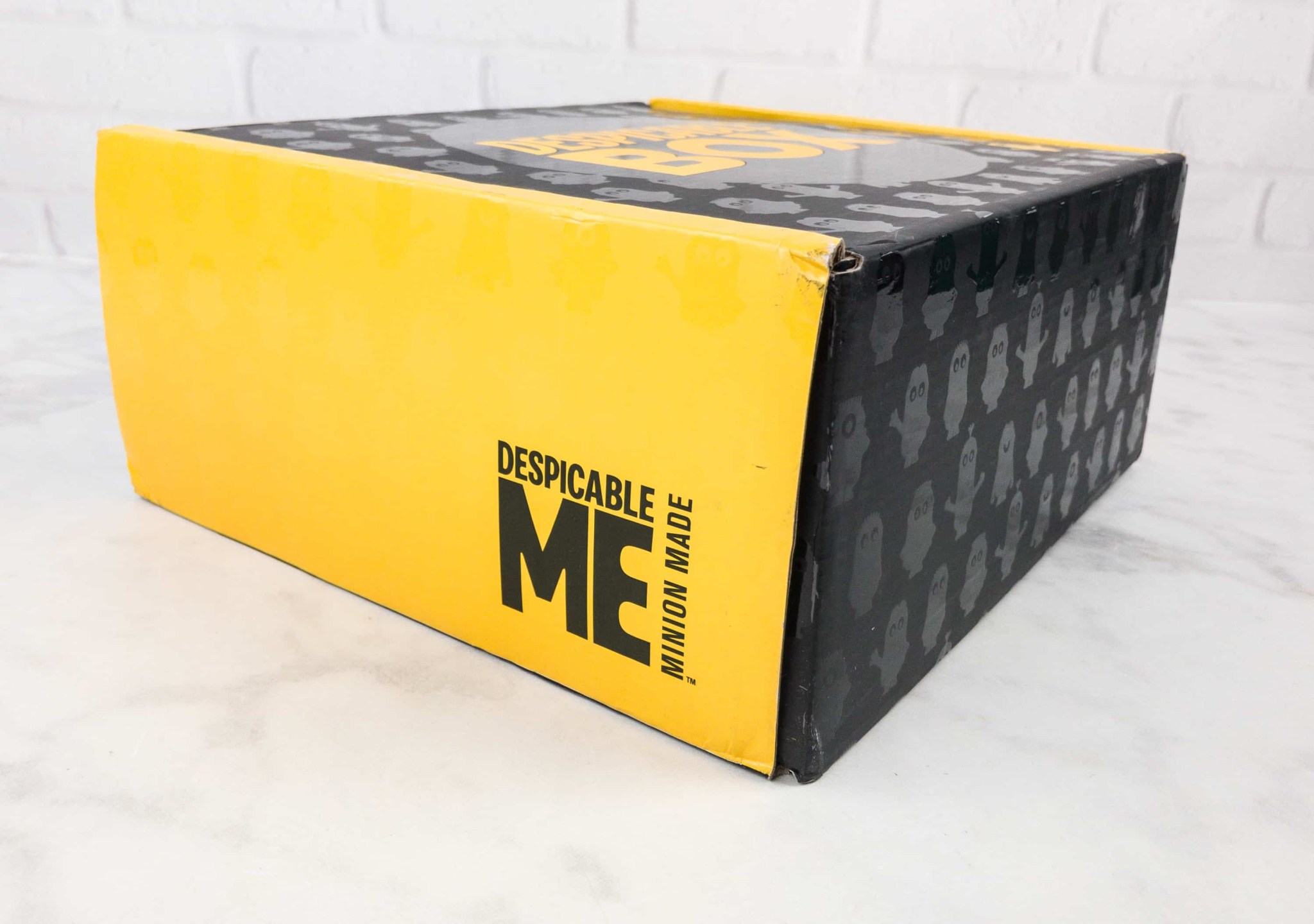 The Despicable Box Summer 2017 Subscription Box Review + Coupon - Hello ...