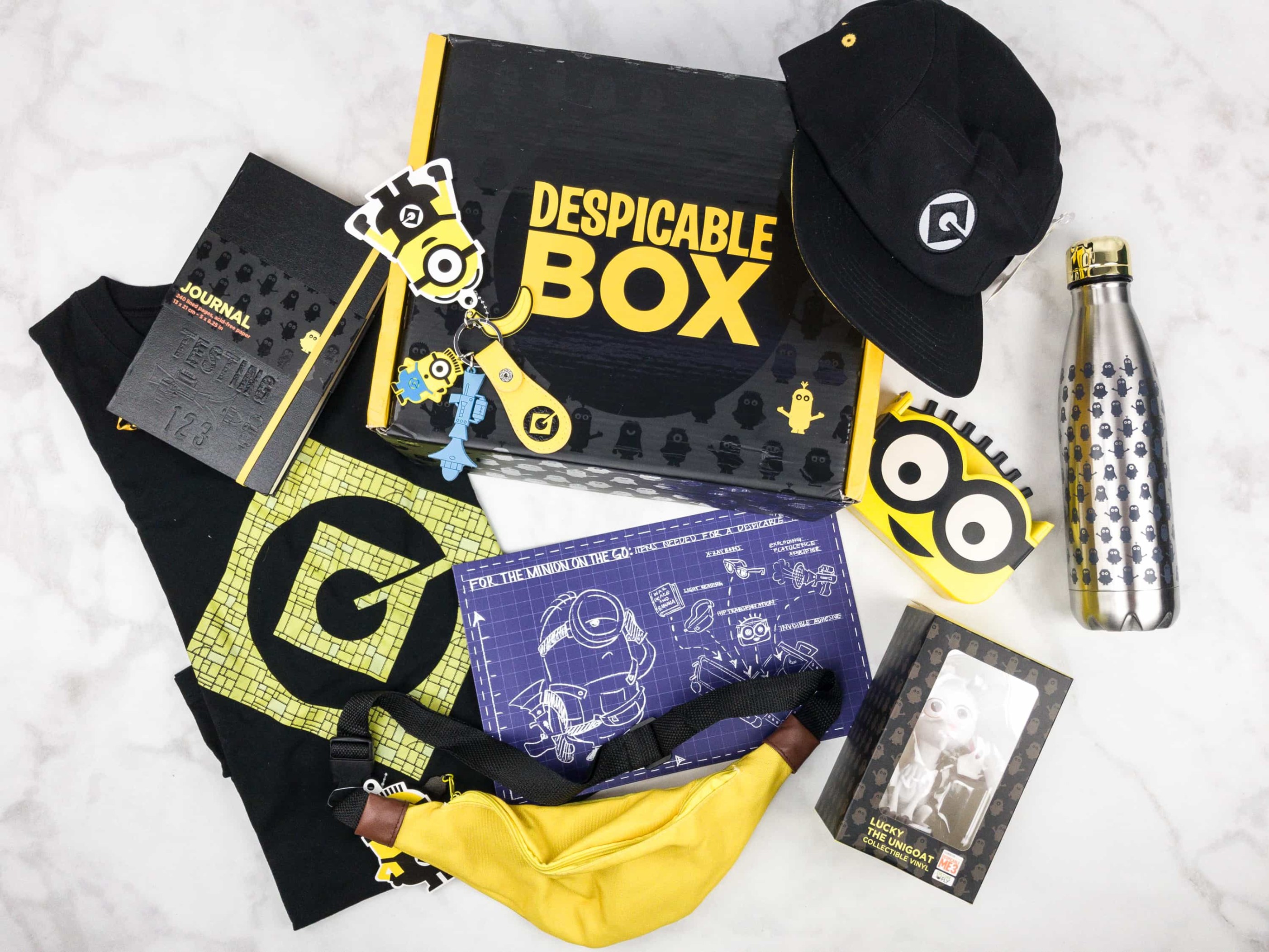 The Despicable Box Summer 2017 Subscription Box Review + Coupon - Hello ...