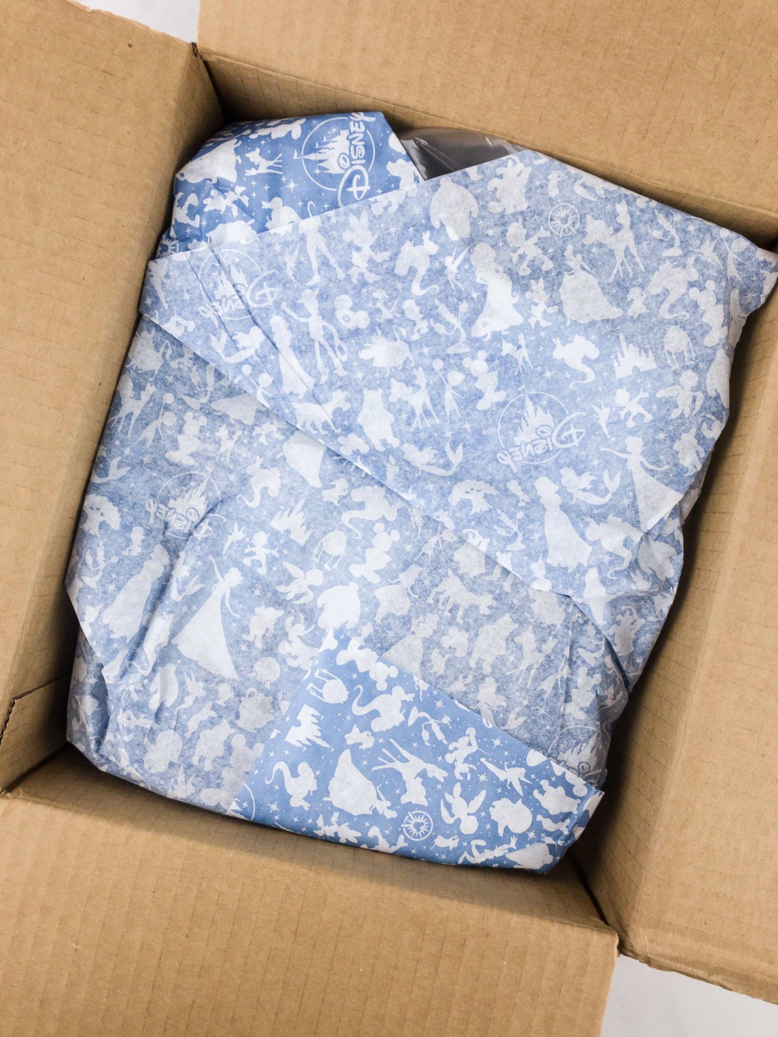 Disney Store 30th Anniversary Snowglobe Ornament Subscription August ...