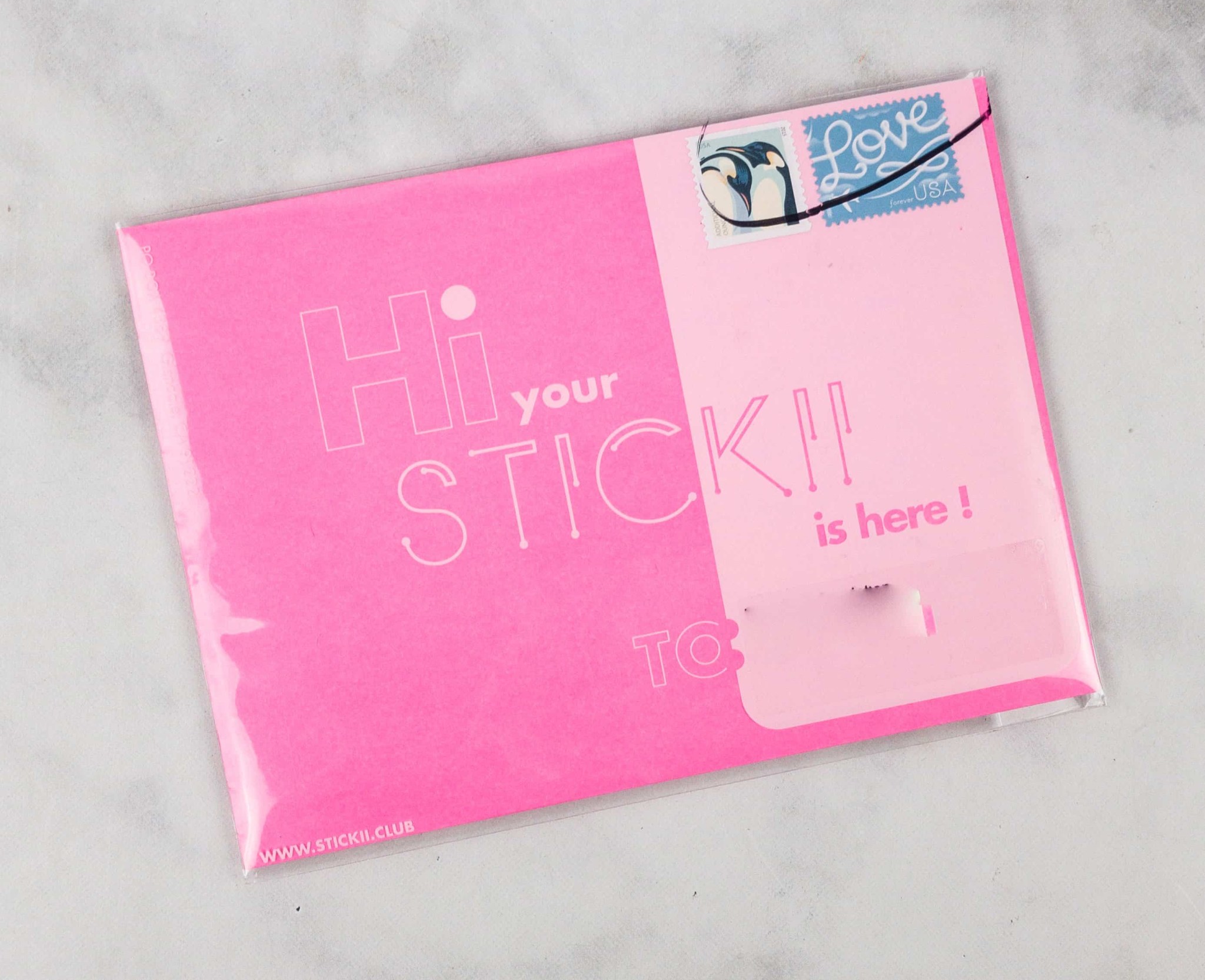Stickii Club August 2017 Subscription Box Review - Cute Pack! - Hello ...