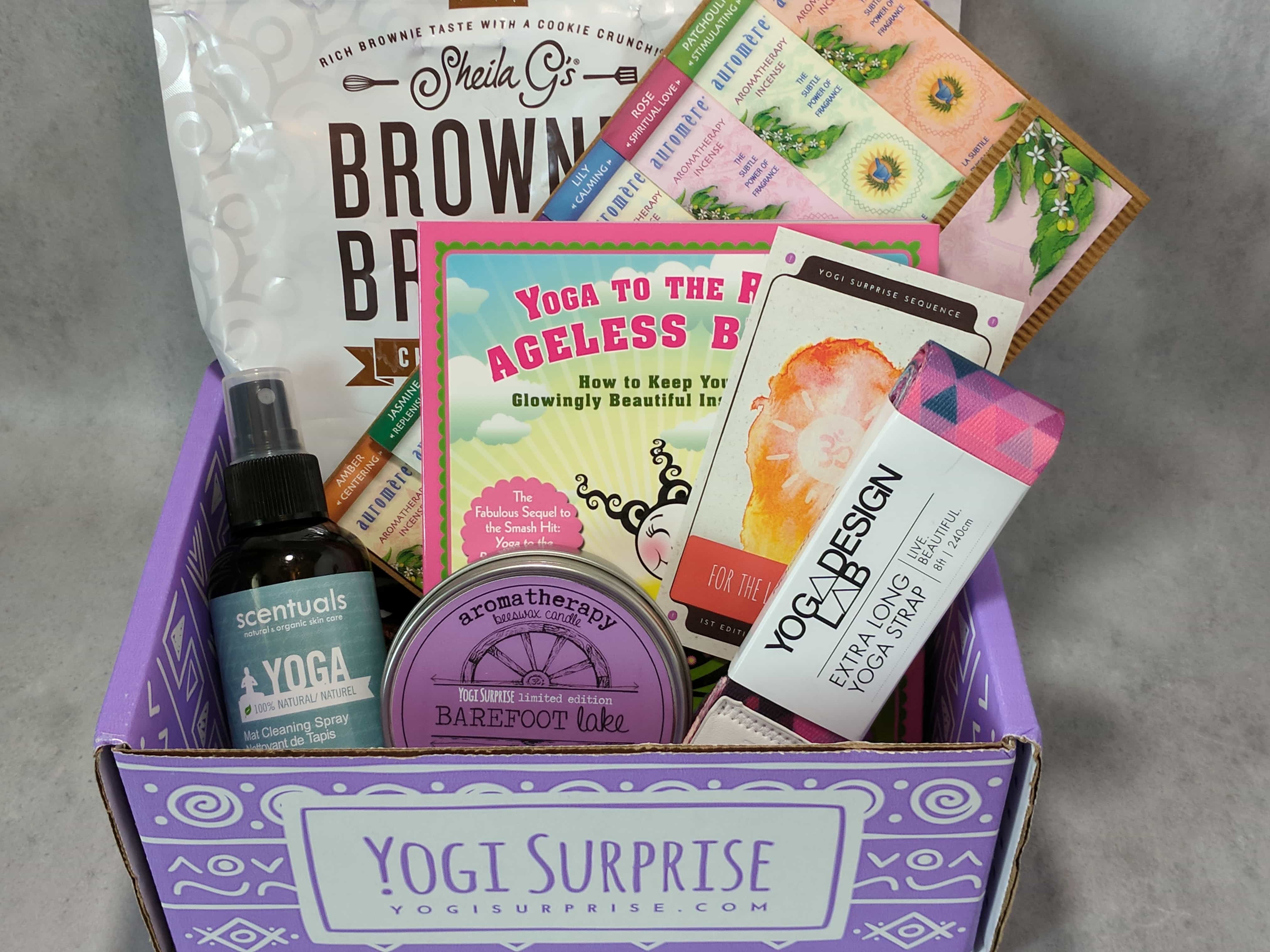 Yogi Surprise Subscription Box Review + Coupon - September 2017 - Hello ...