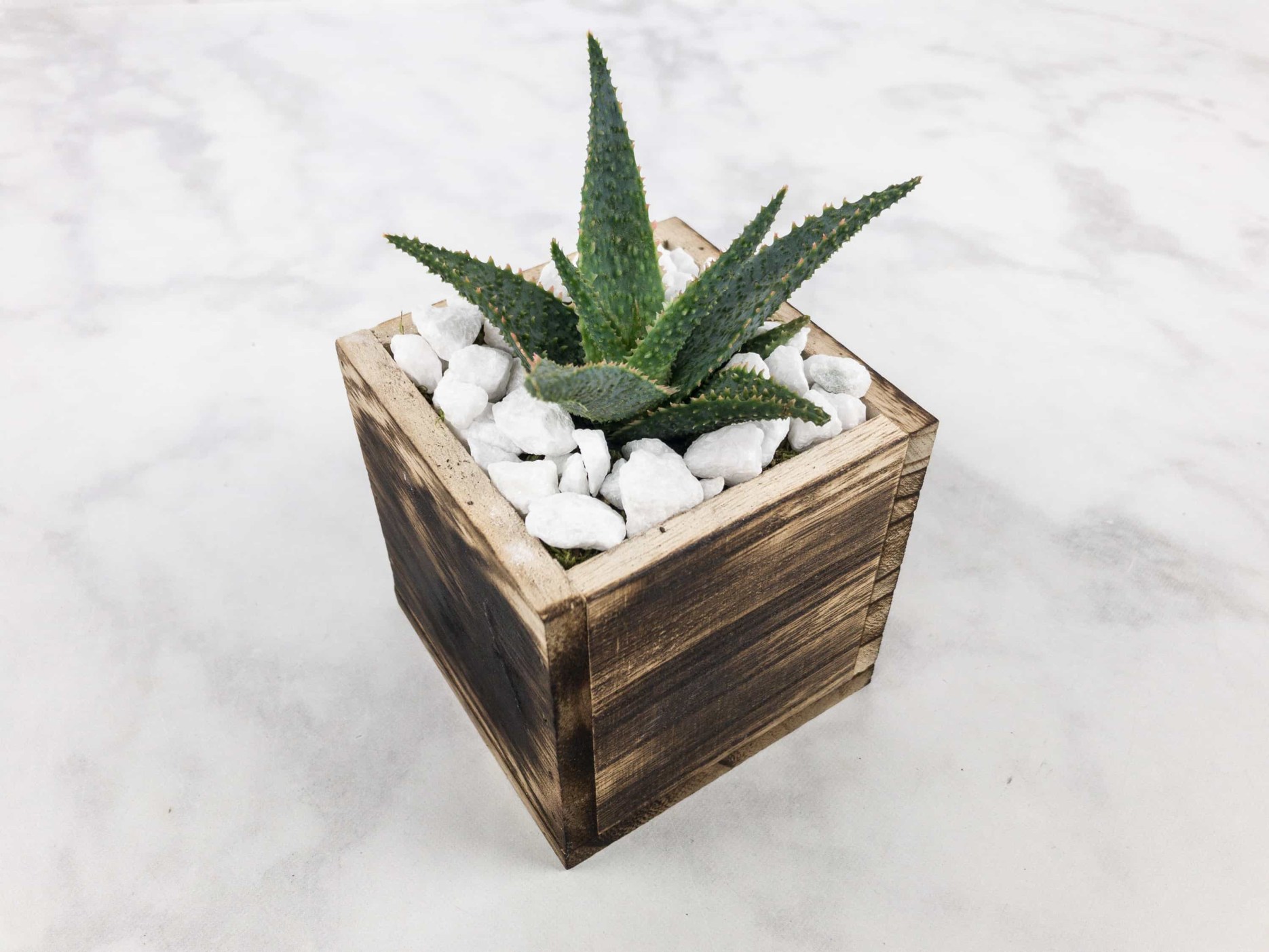 The Desert Box September 2017 Subscription Box Review - Hello Subscription