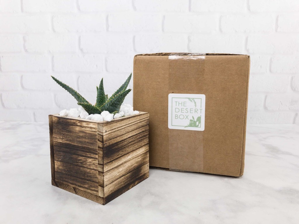 The Desert Box Reviews: Get All The Details At Hello Subscription!