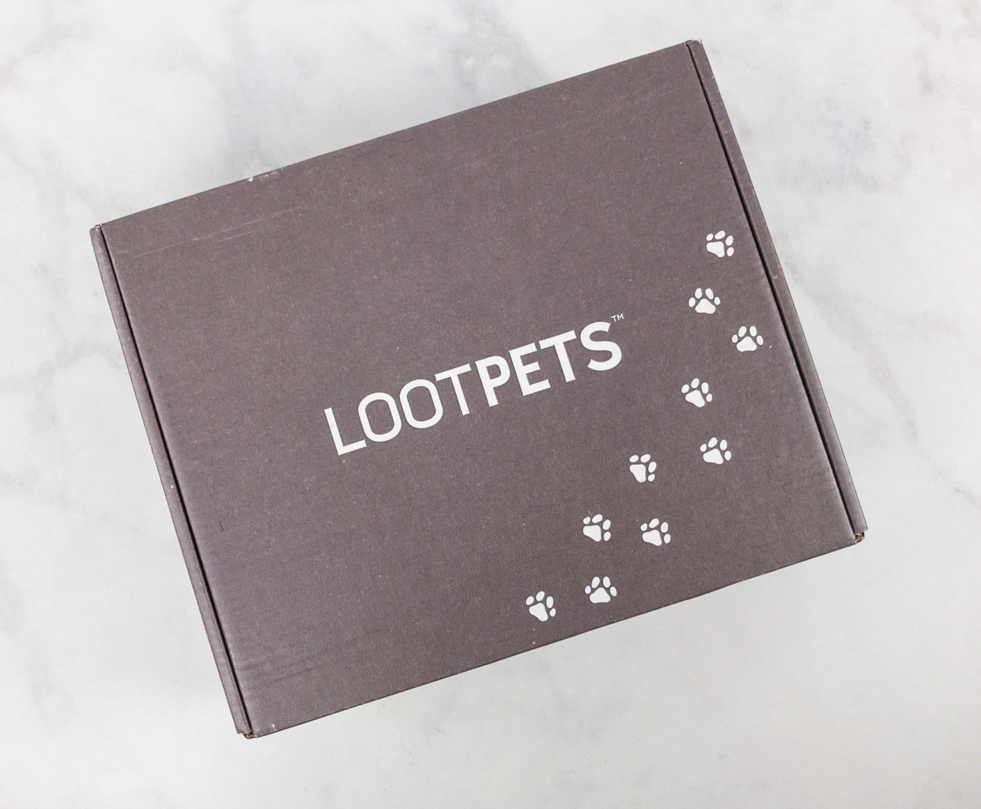 Loot Pets August 2017 Review & Coupon - Hello Subscription